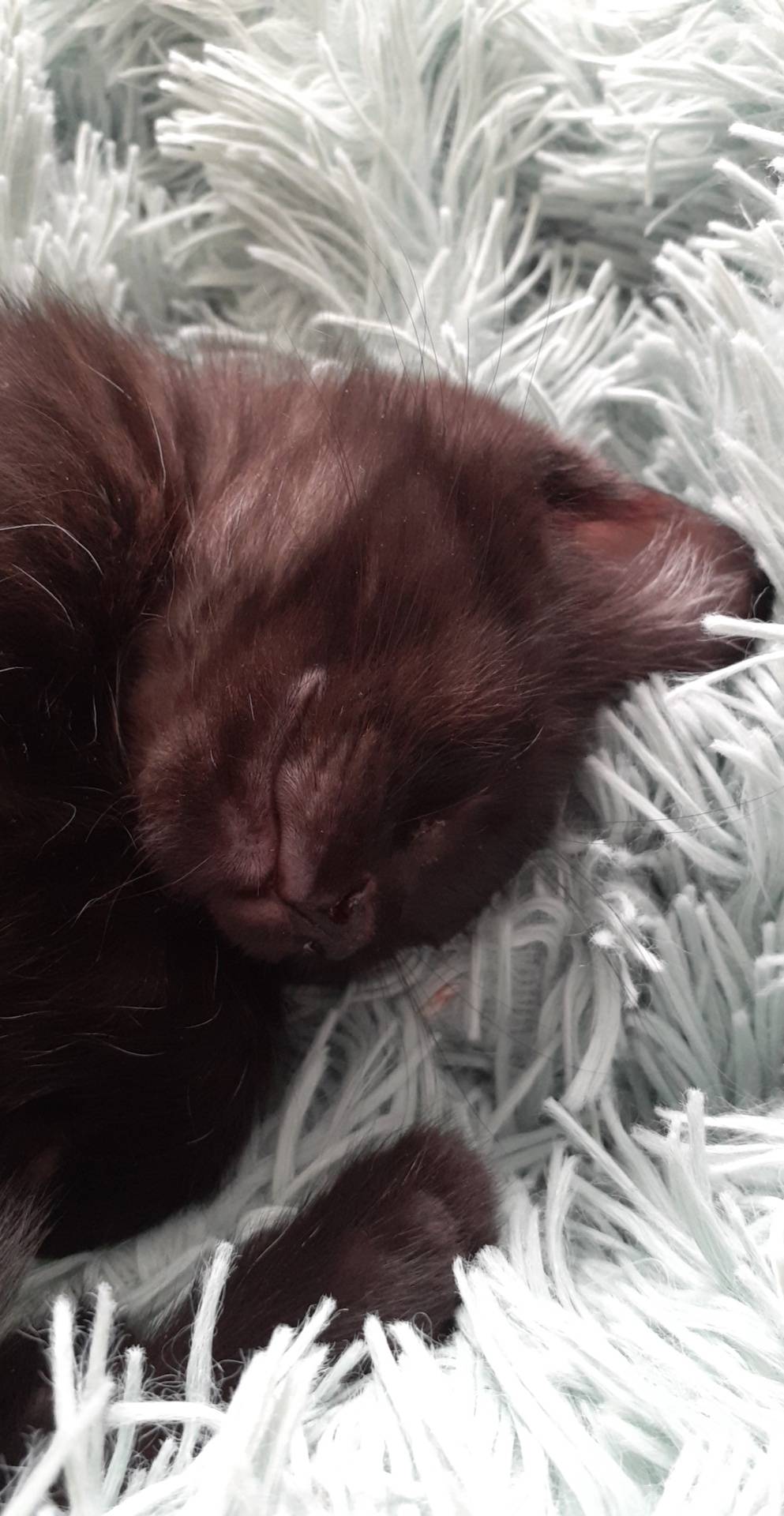 Sleepy baby | Scrolller