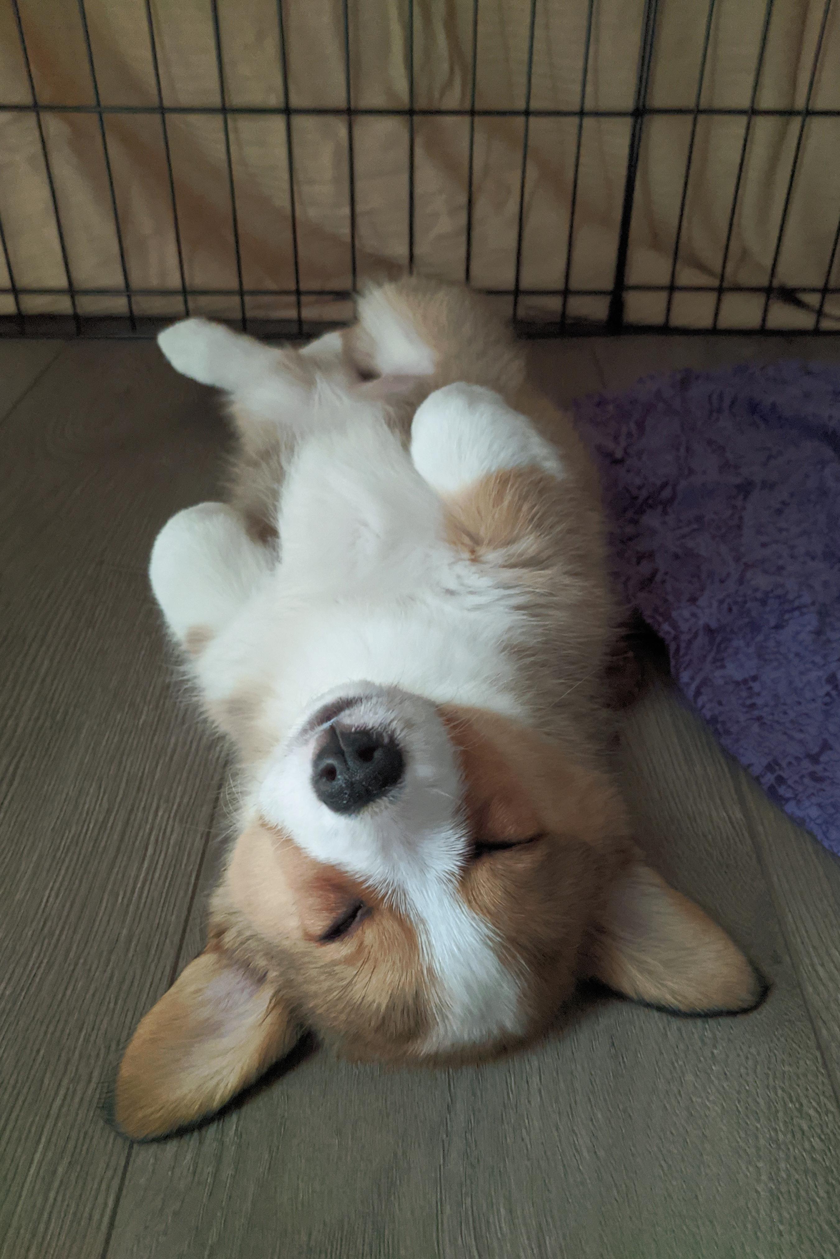 Sleepy baby | Scrolller