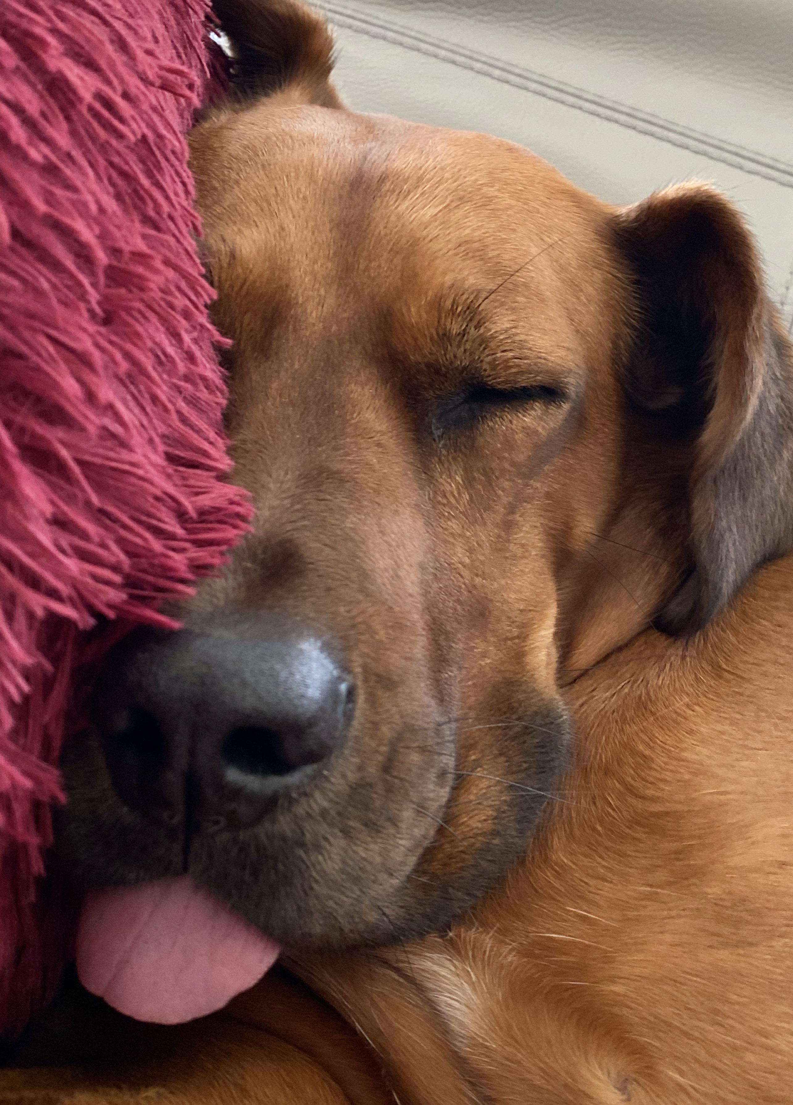 Sleepy blop | Scrolller