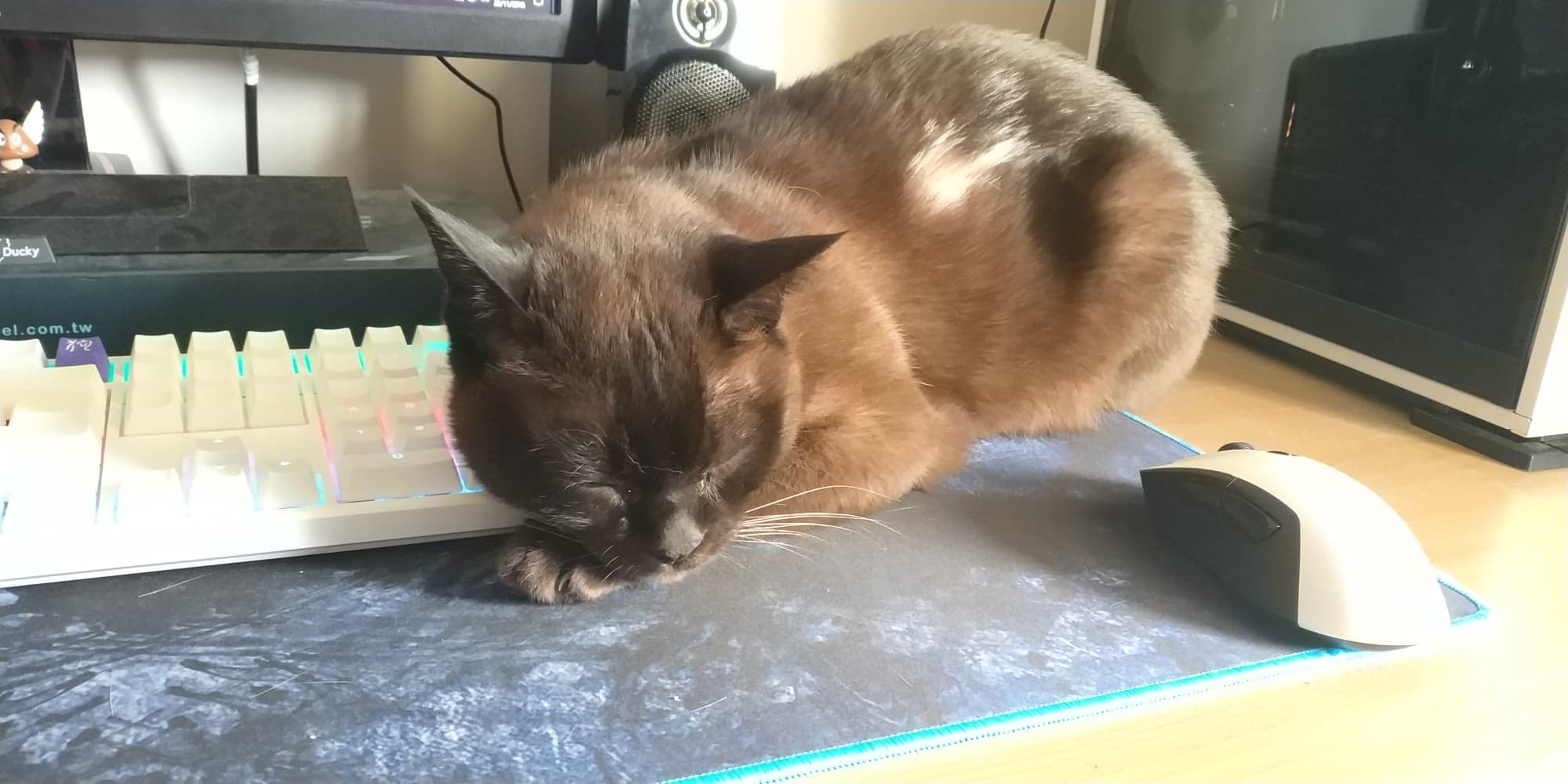 Sleepy boy | Scrolller