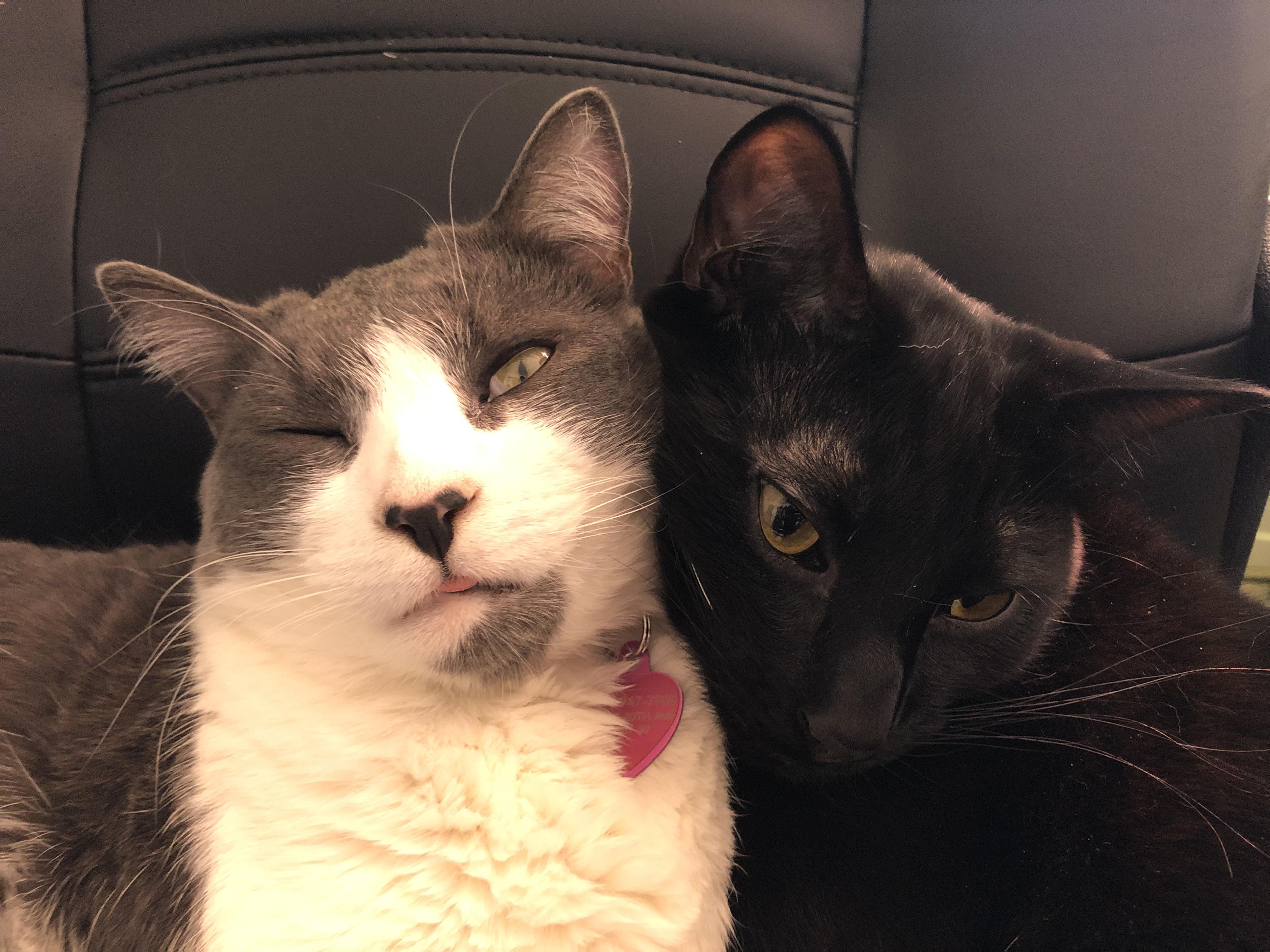 Sleepy derp and her brother | Scrolller