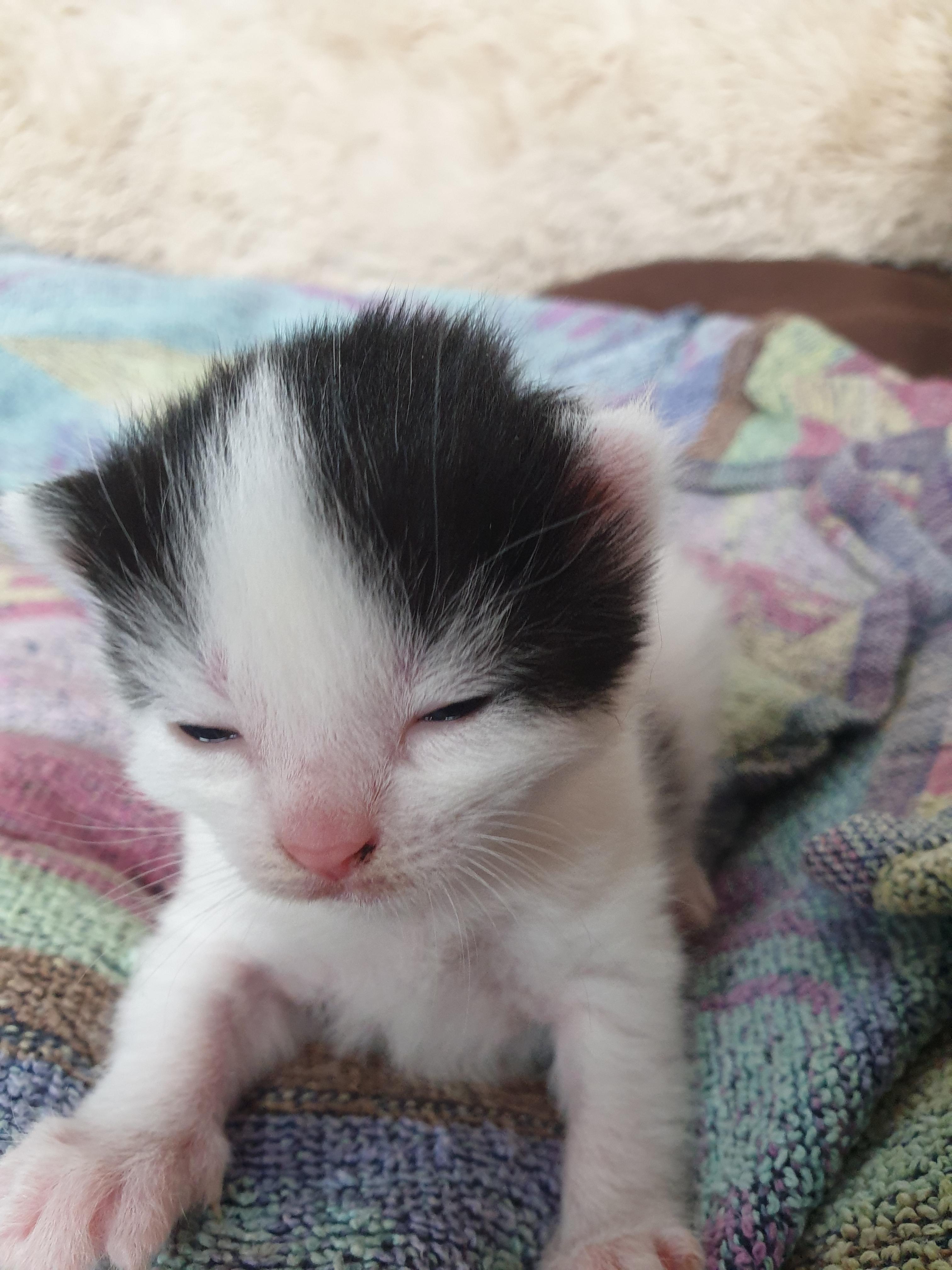 Sleepy me me ready for nap pt 10 | Scrolller