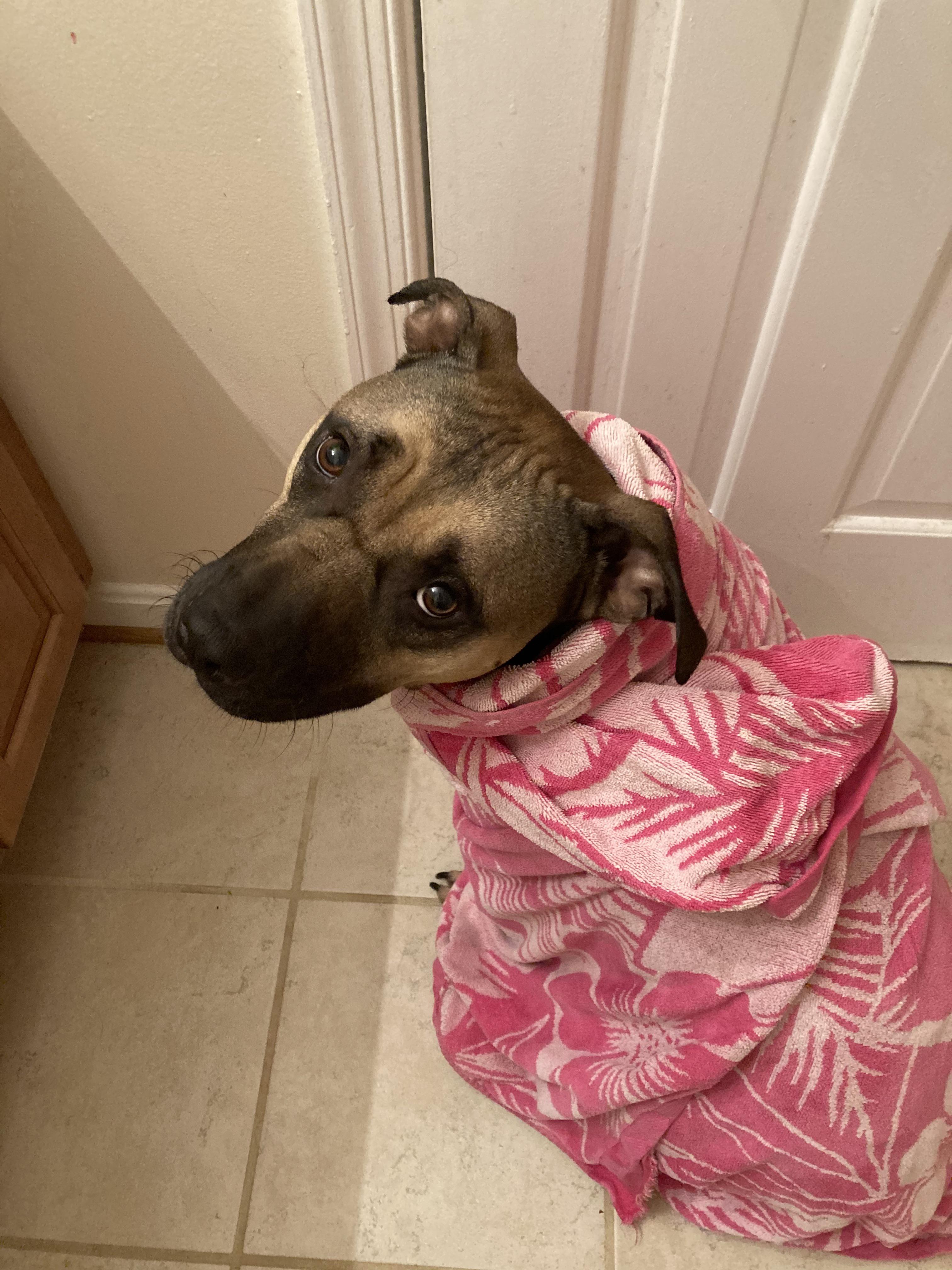 Slightly cleaner but not happy about it. | Scrolller