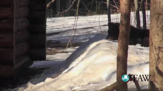 Slippery slope | Scrolller