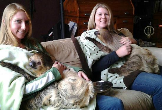 Sloth Encounter | Scrolller