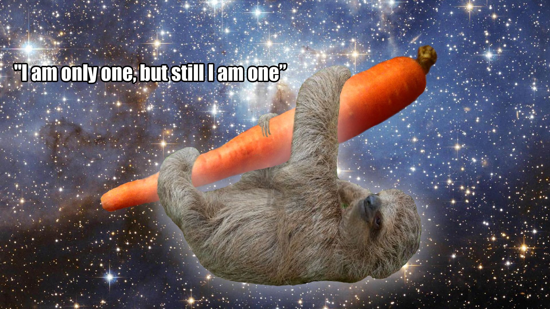 Sloth Riding a Carrot in Space. (made this in class today) | Scrolller