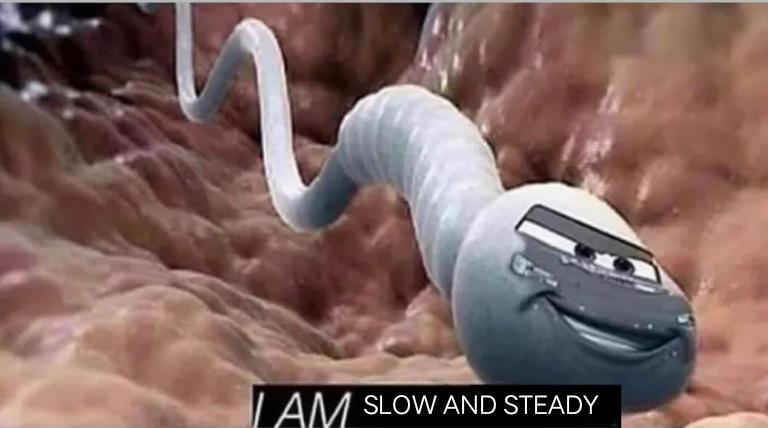 Slow and steady wins the race | Scrolller