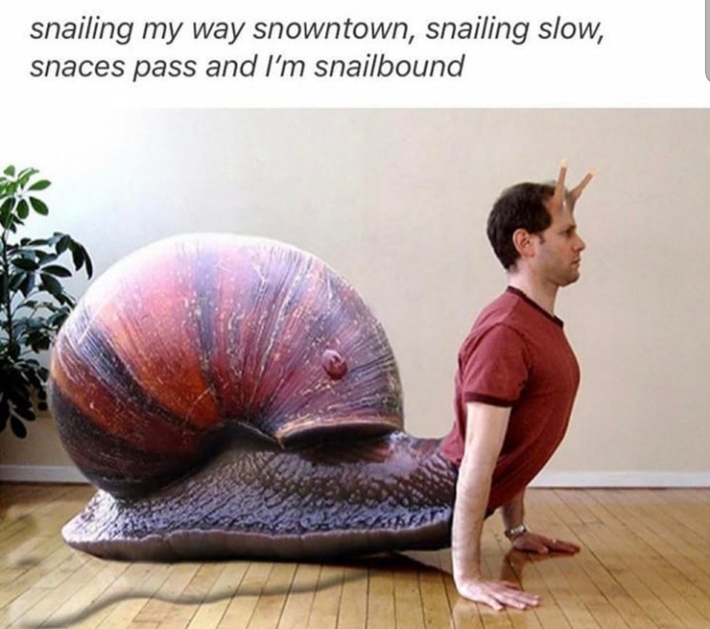 Slug Man? | Scrolller