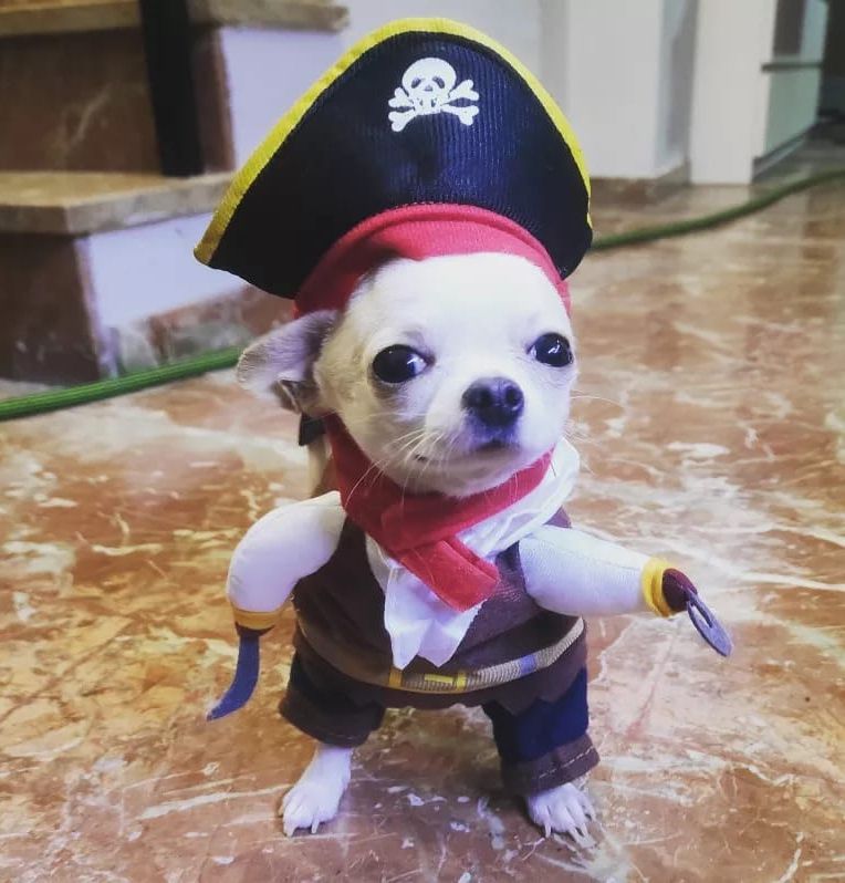 Small but deadly. Lmao | Scrolller