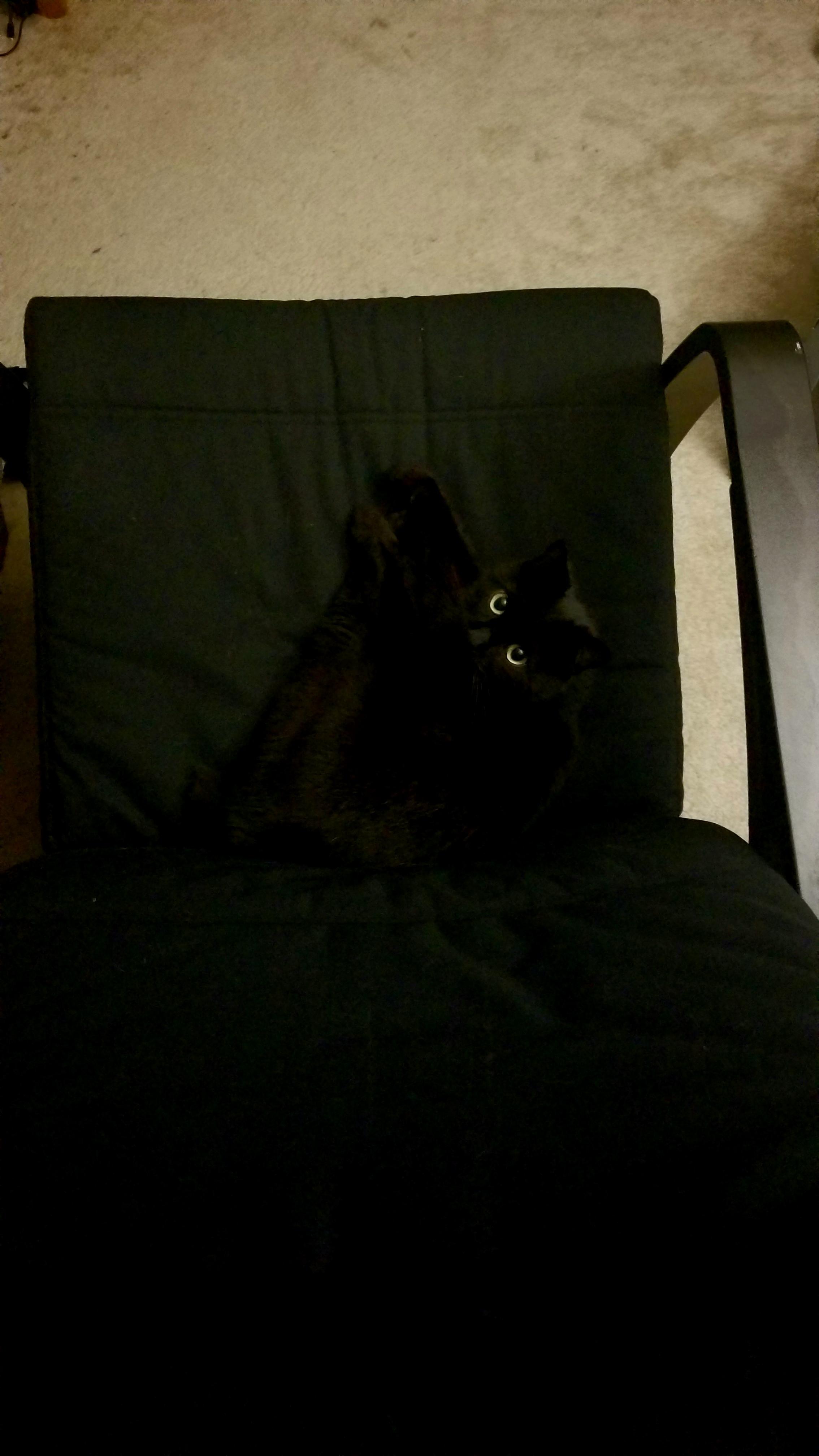 Small void in my Ikea chair | Scrolller