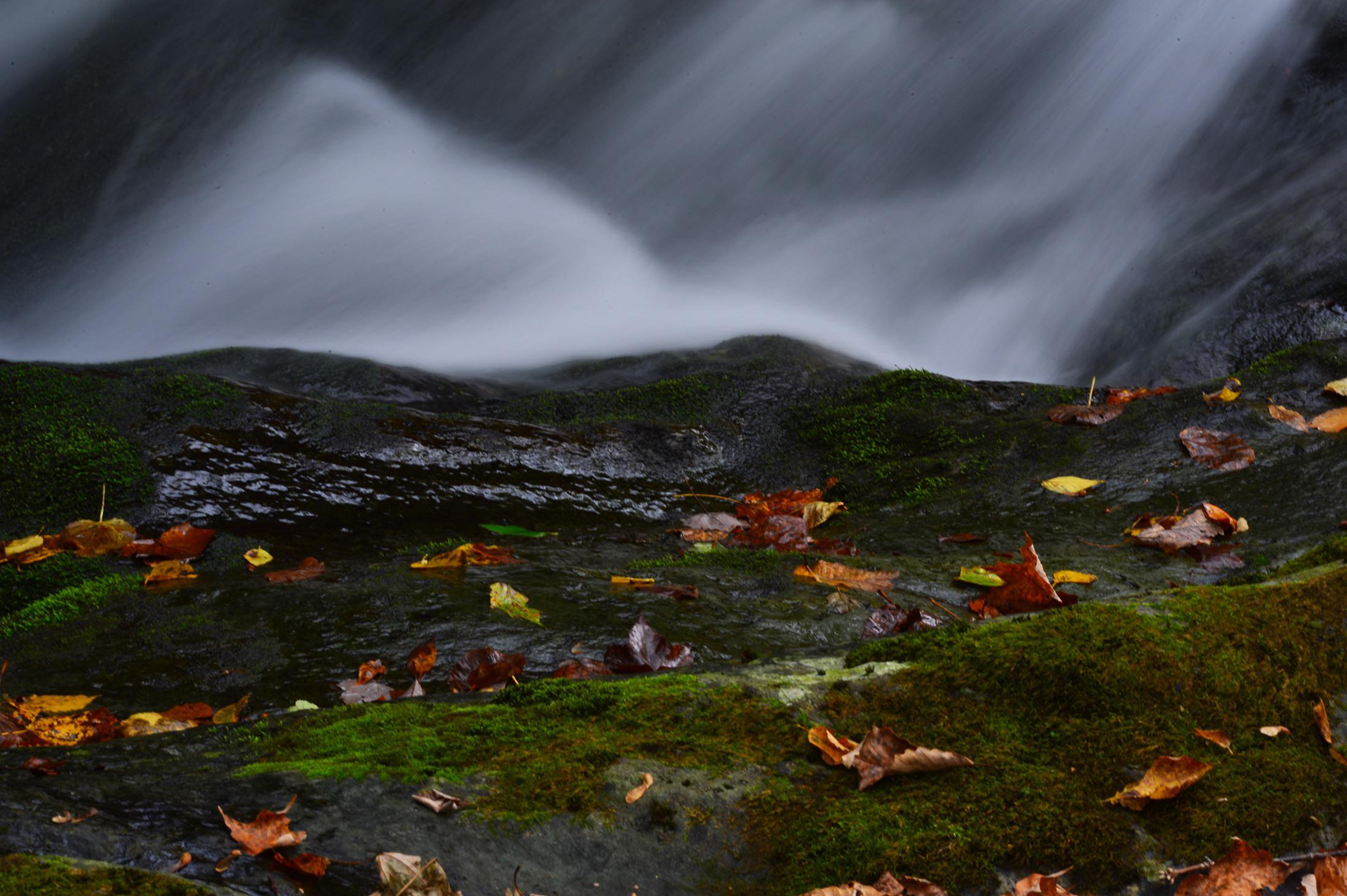 Small waterfalls and fall leaves in Shenandoah National Park, VA [OC] [2200x1464] | Scrolller