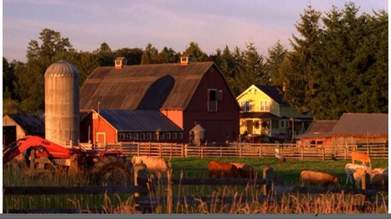 Smallville honestly makes me wish I lived on a farm. | Scrolller