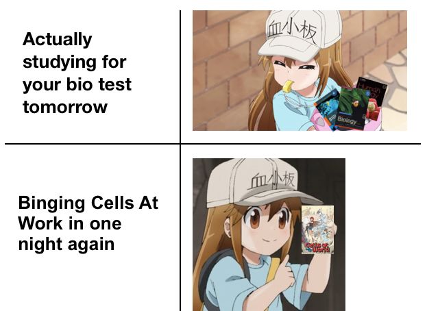 Smart move | Scrolller