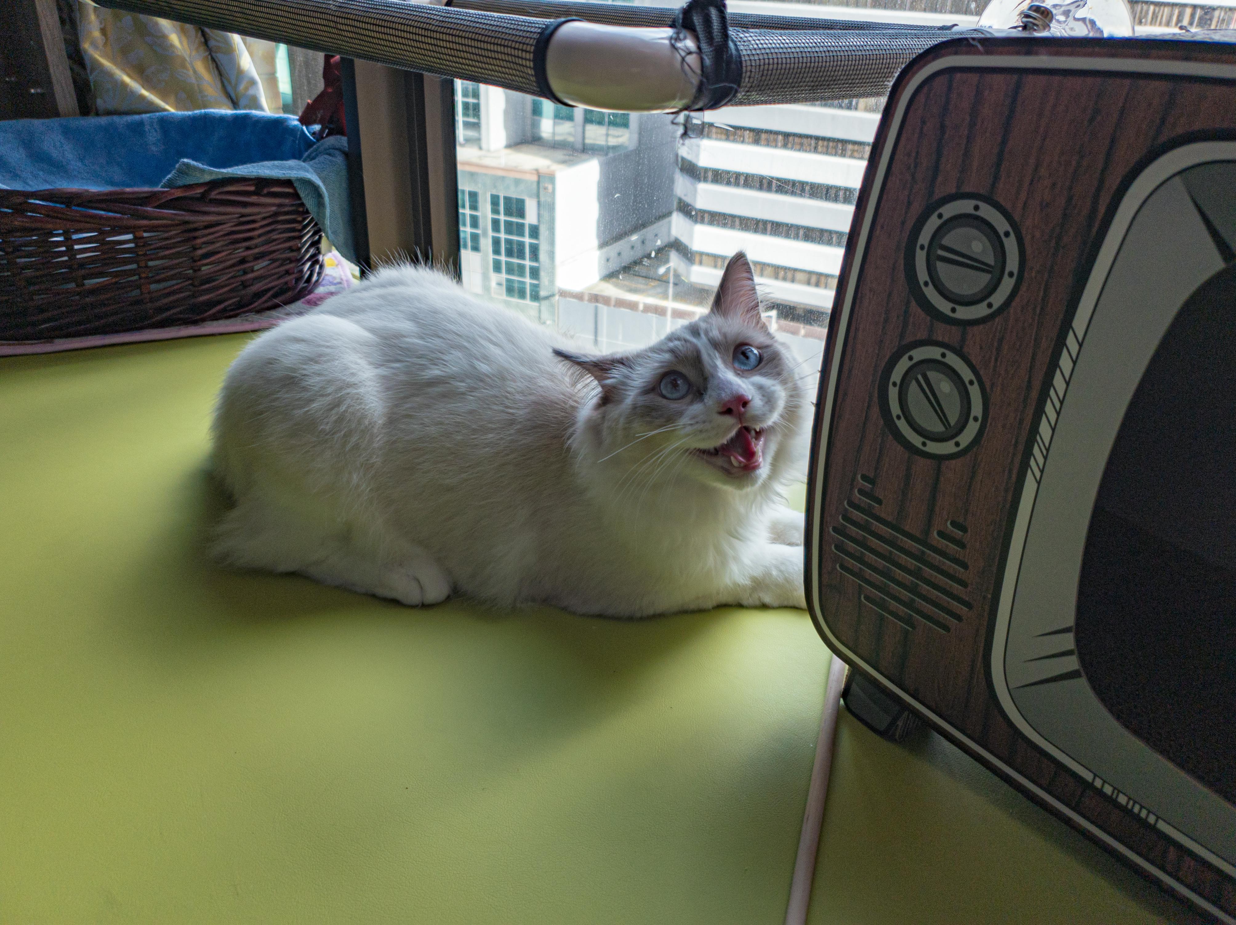 Smile for the camera! | Scrolller