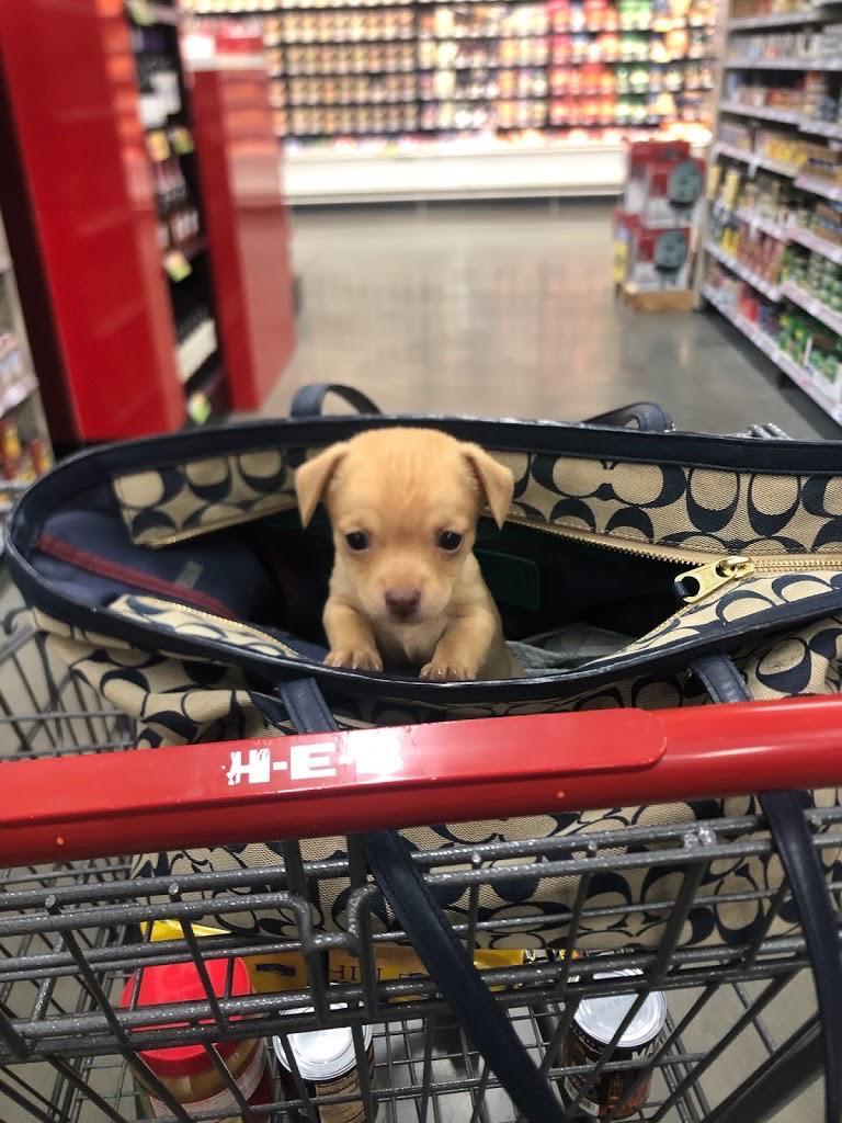 Smol assist | Scrolller