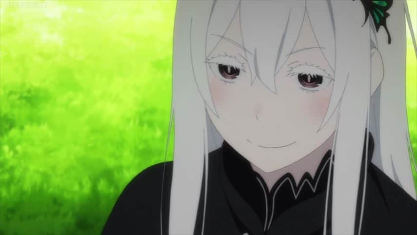 Smug Echidna | Scrolller