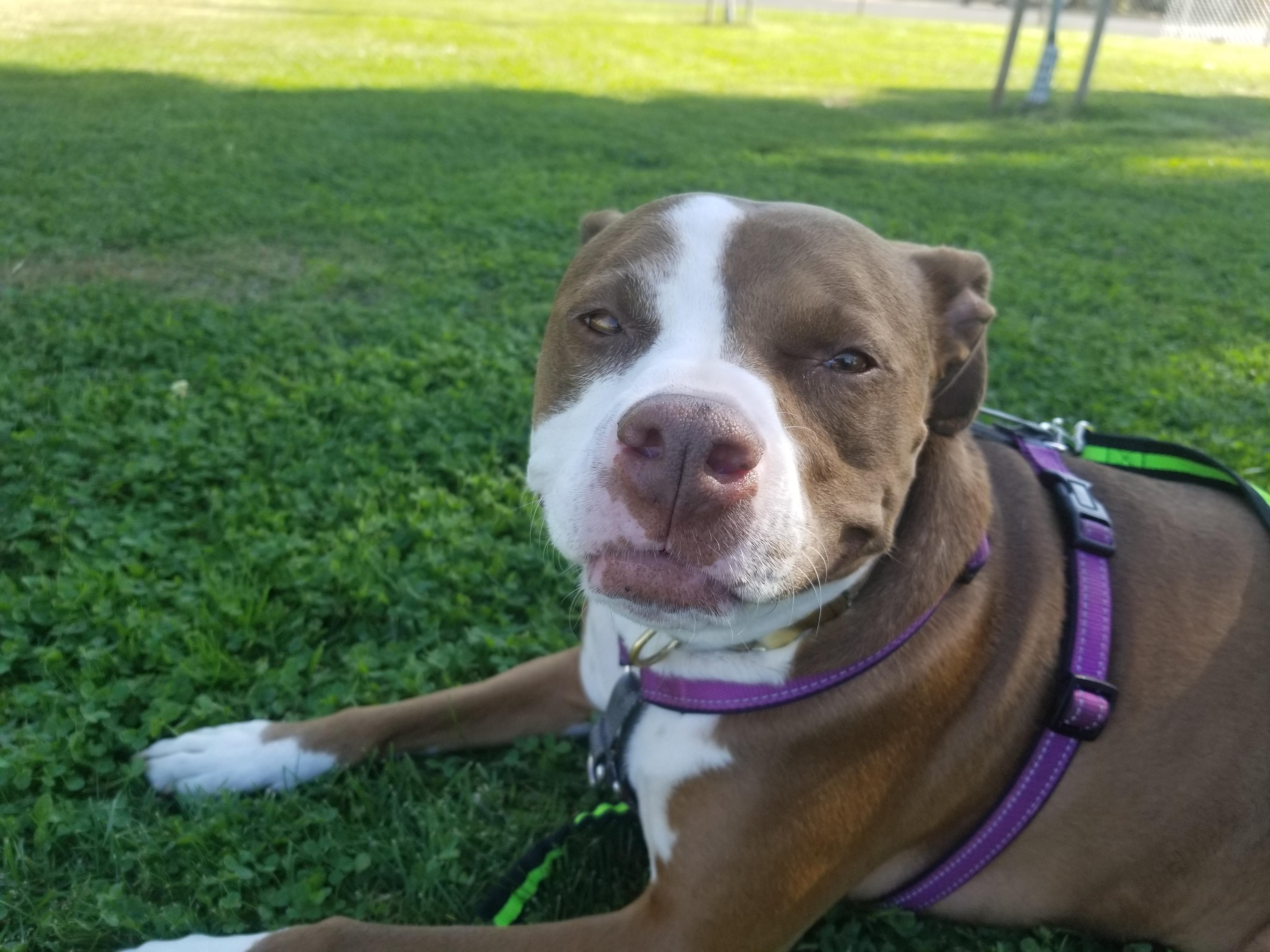 Smug girl wins the race | Scrolller