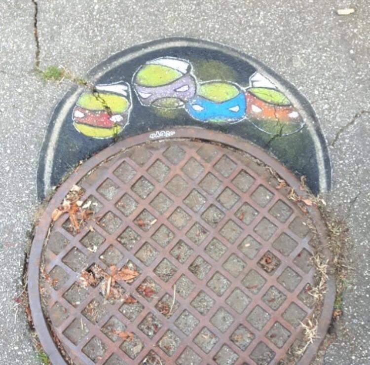 Sneaky little T.M.N.T. | Scrolller