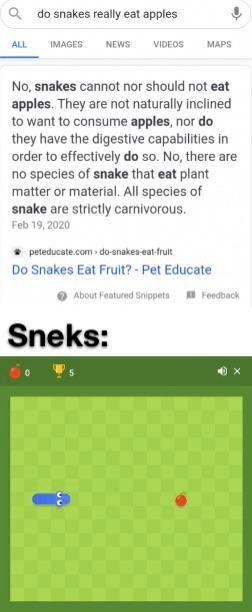 Snek go nom | Scrolller