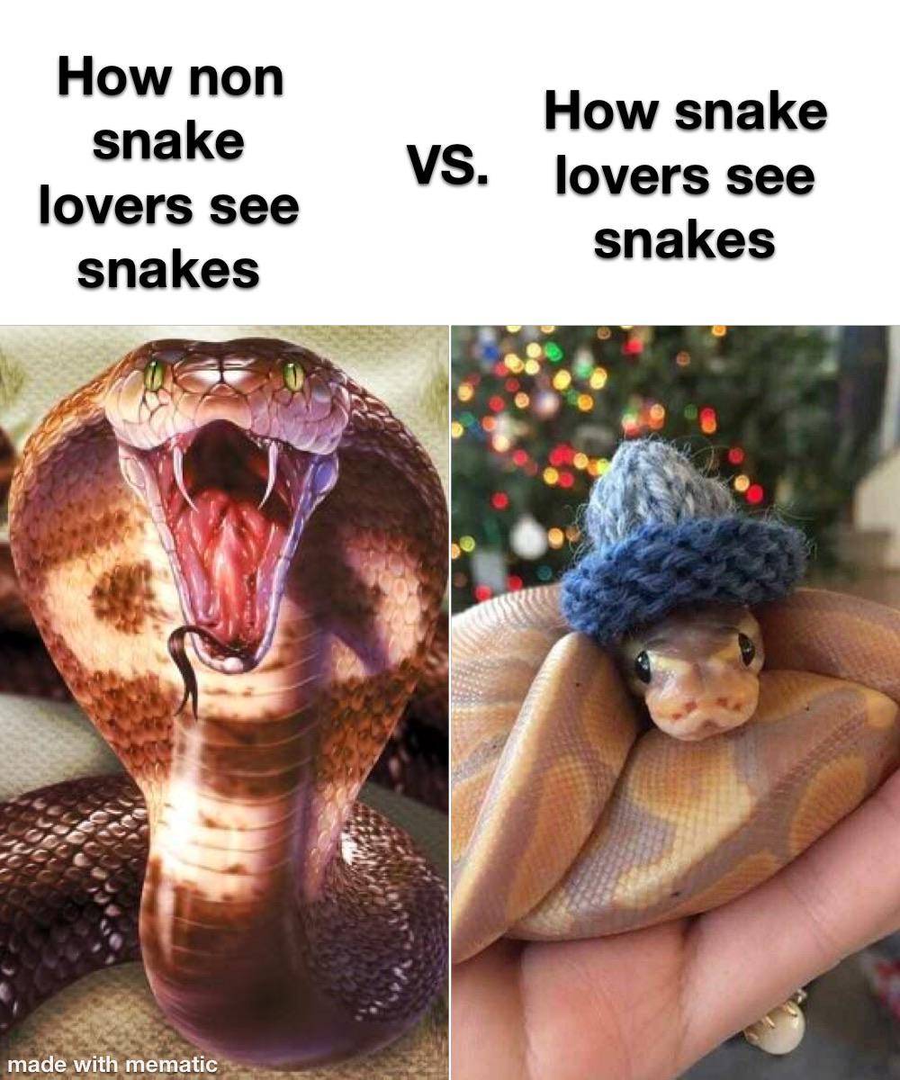 Snek in hat | Scrolller