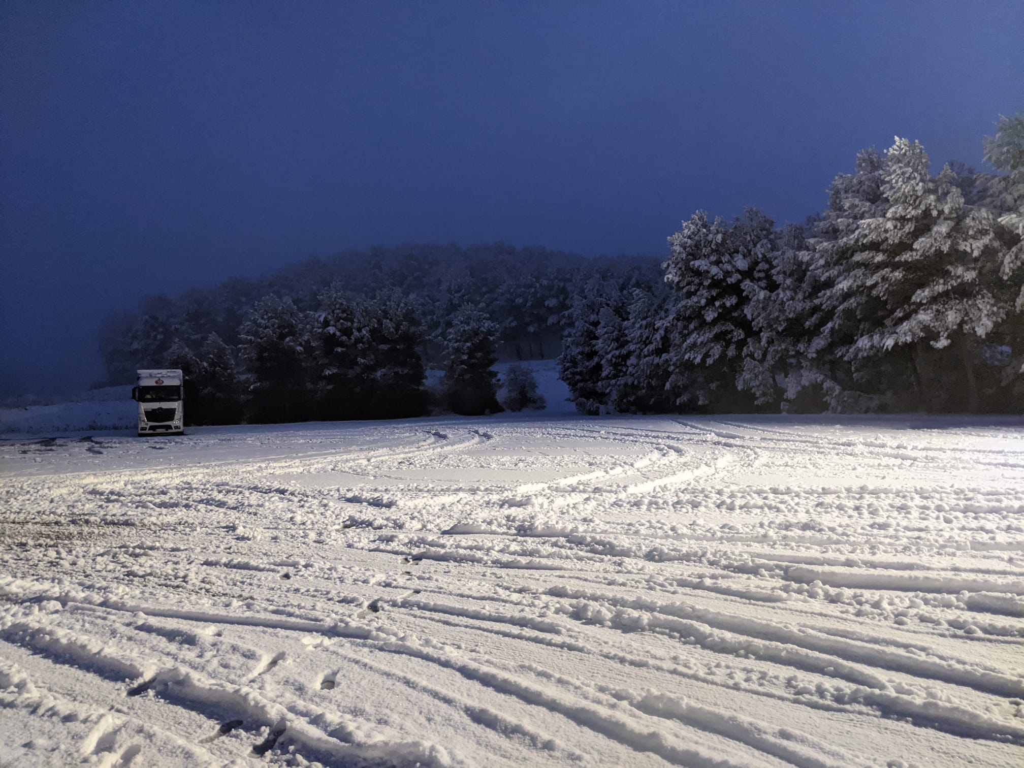 Snow covered forest in Spain (OC) | Scrolller