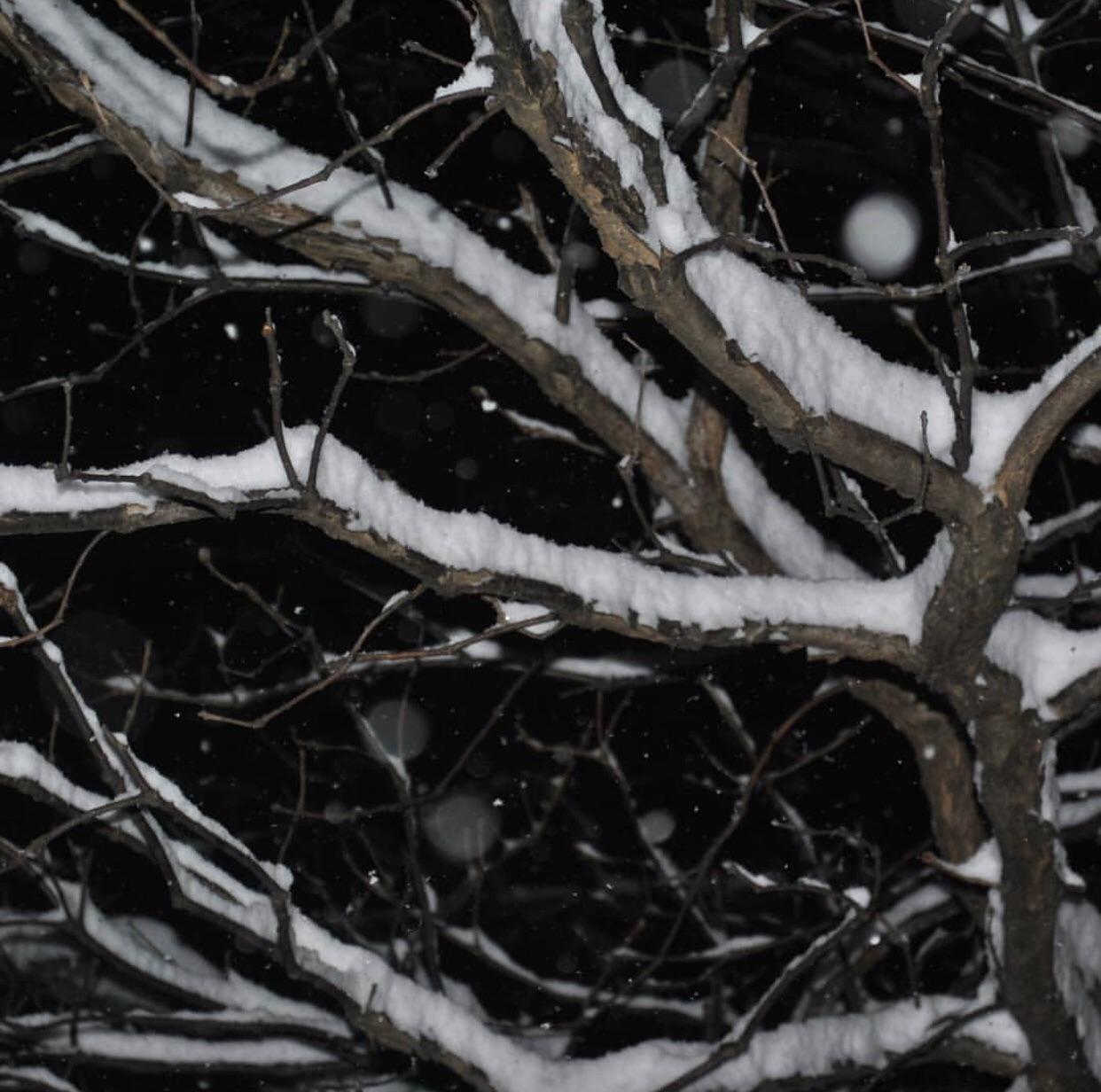 Snow in the pitch black night. | Scrolller
