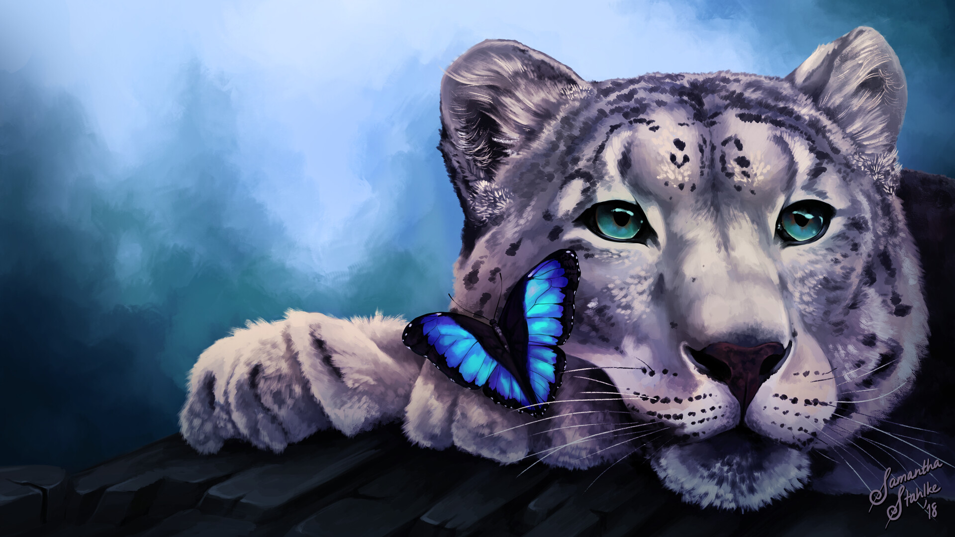 Snow Leopard by Samantha Stahlke | Scrolller