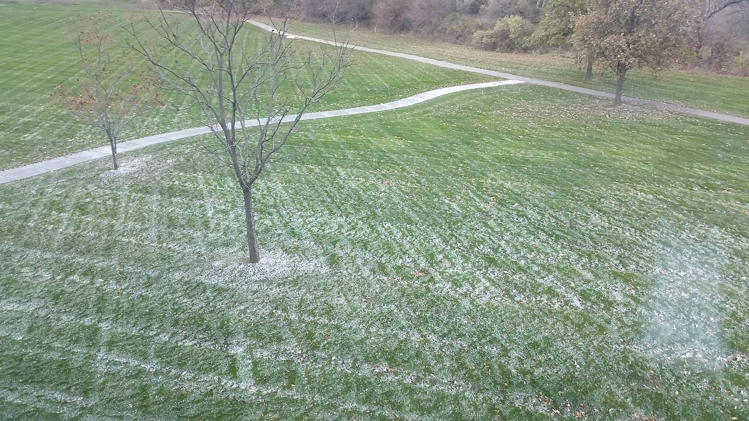 Snow on Freshly Cut Grass | Scrolller