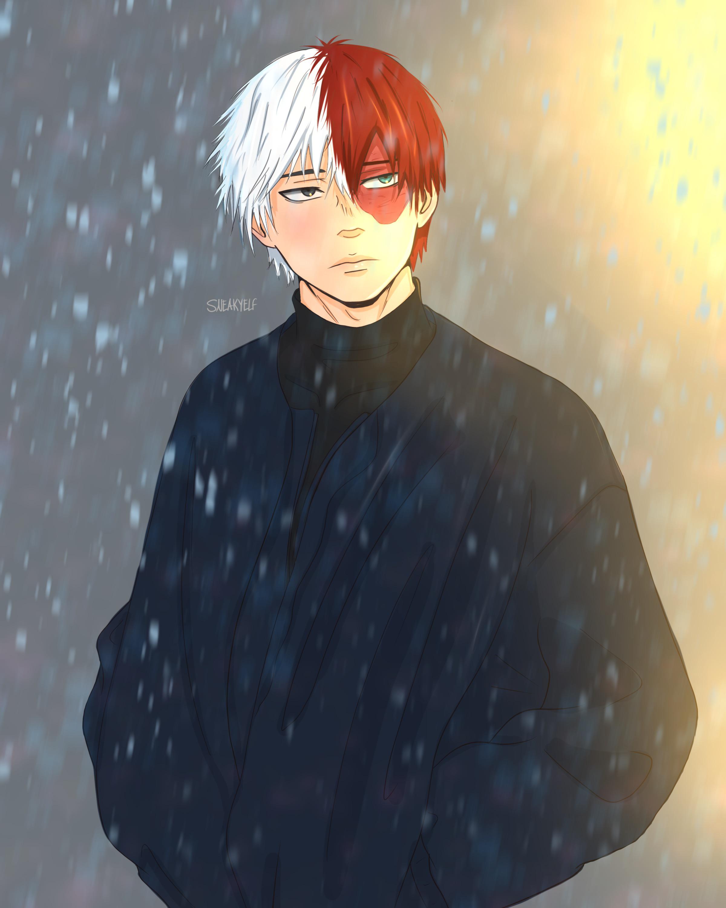 Snowy Shoto | Scrolller