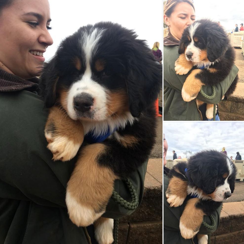 So floofy!!!! | Scrolller