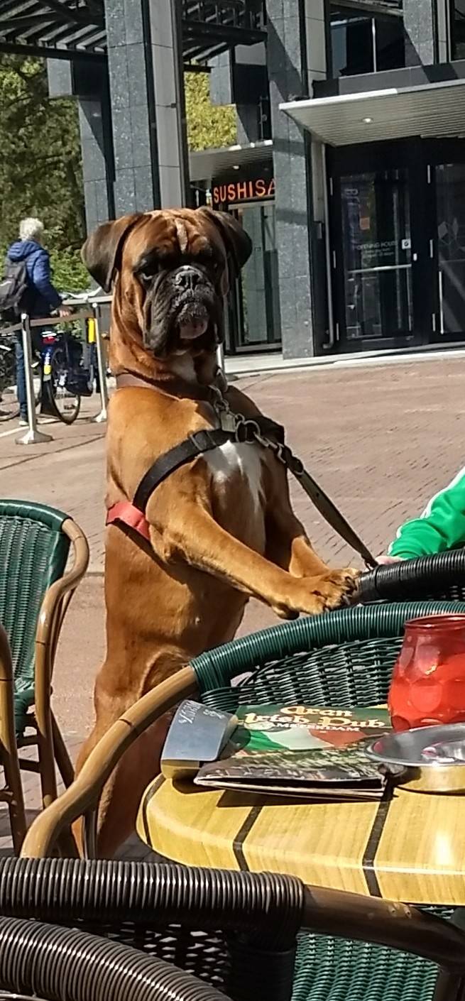 So handsome | Scrolller