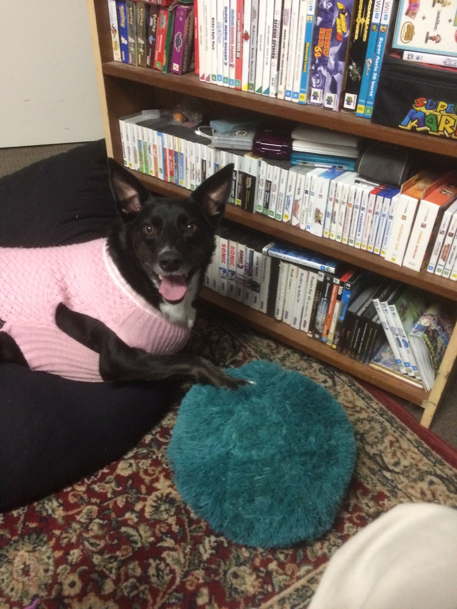 So happy Mum fixed my fluffy ball! | Scrolller