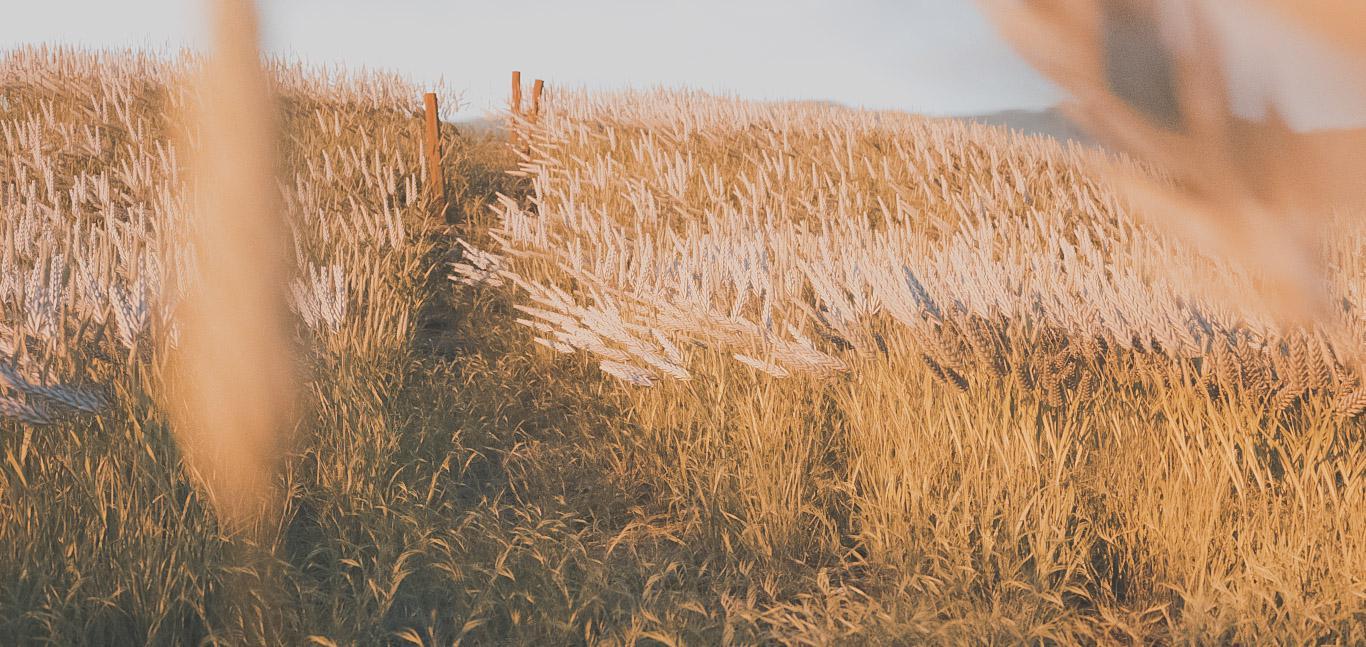 So I did this render. What you think. Also used Photoshop for some adjustments | Scrolller