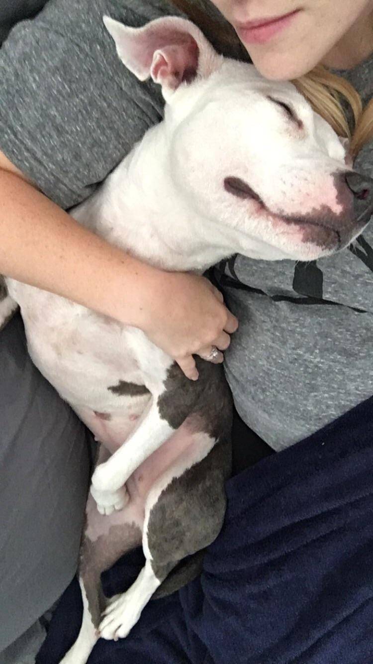 So lovable and smiley! | Scrolller