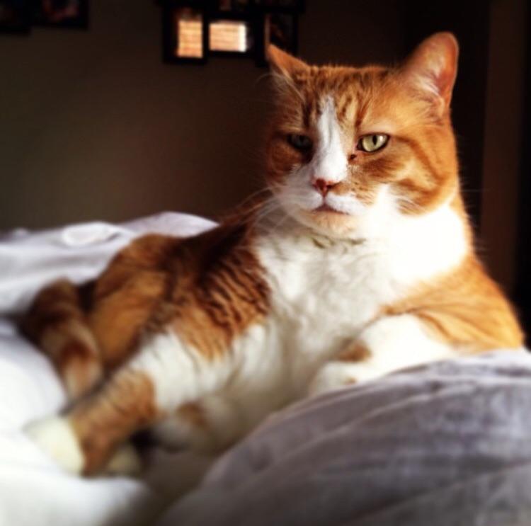 So pensive. | Scrolller