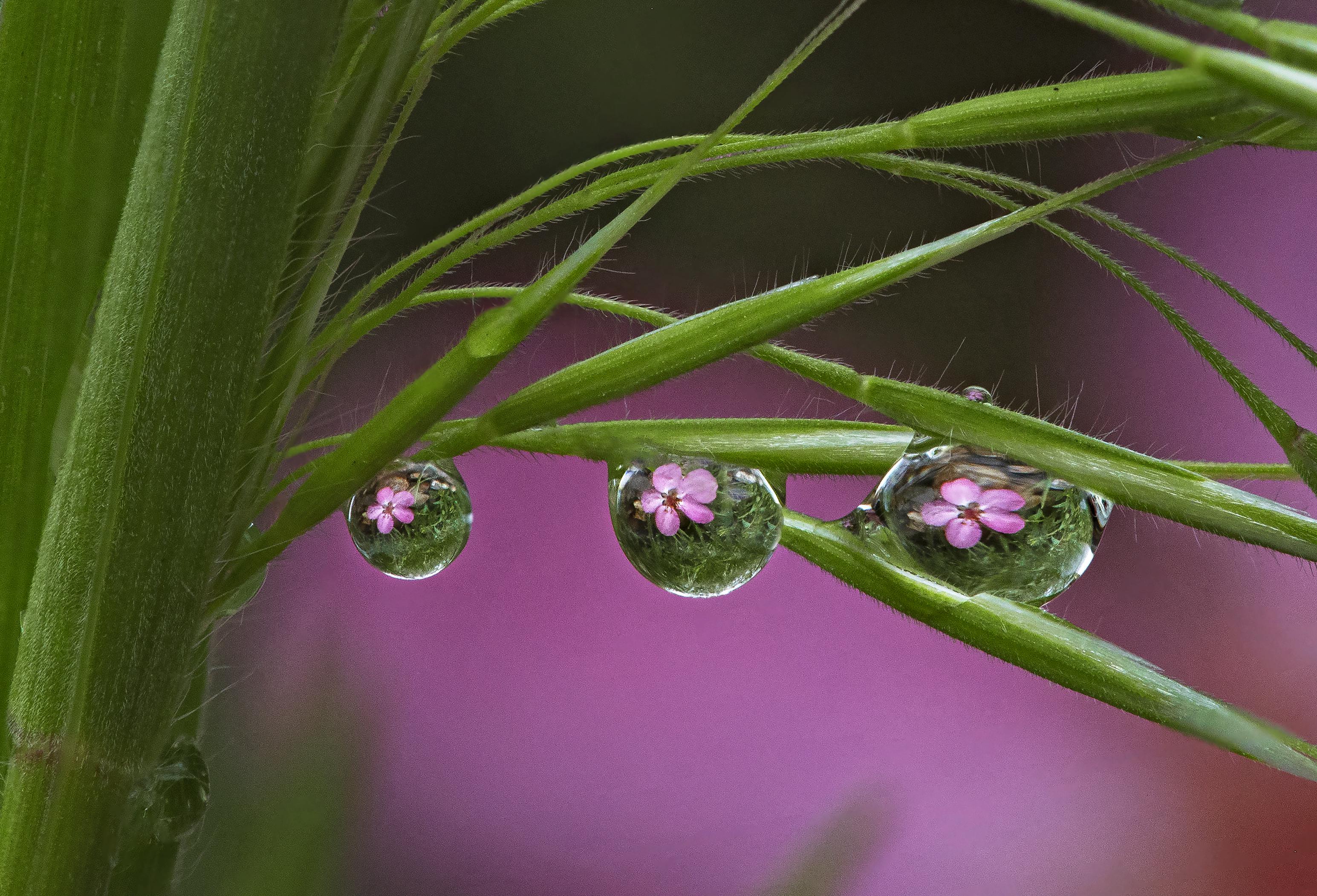 So ready for Spring | Scrolller