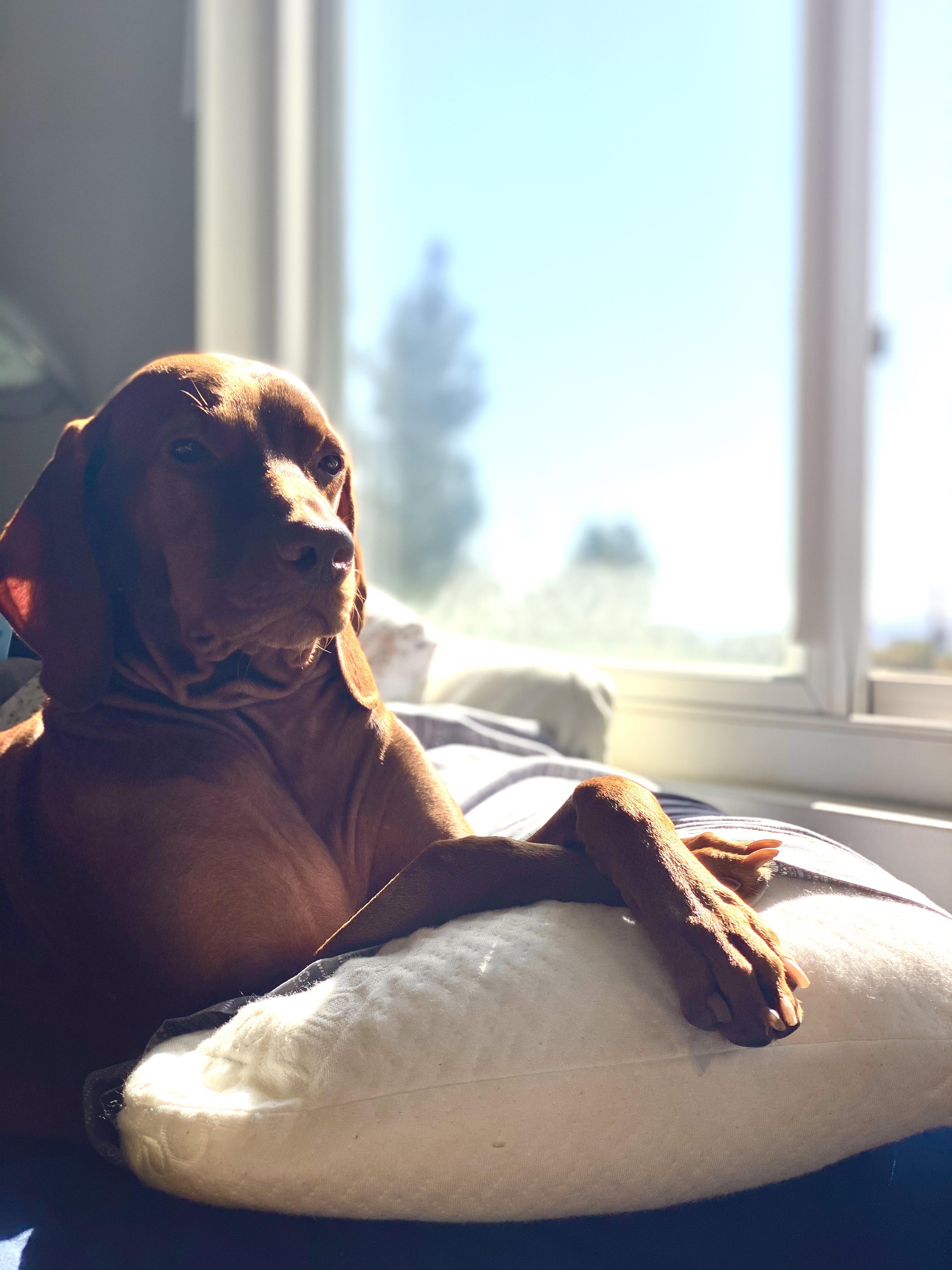 So regal 👑 | Scrolller