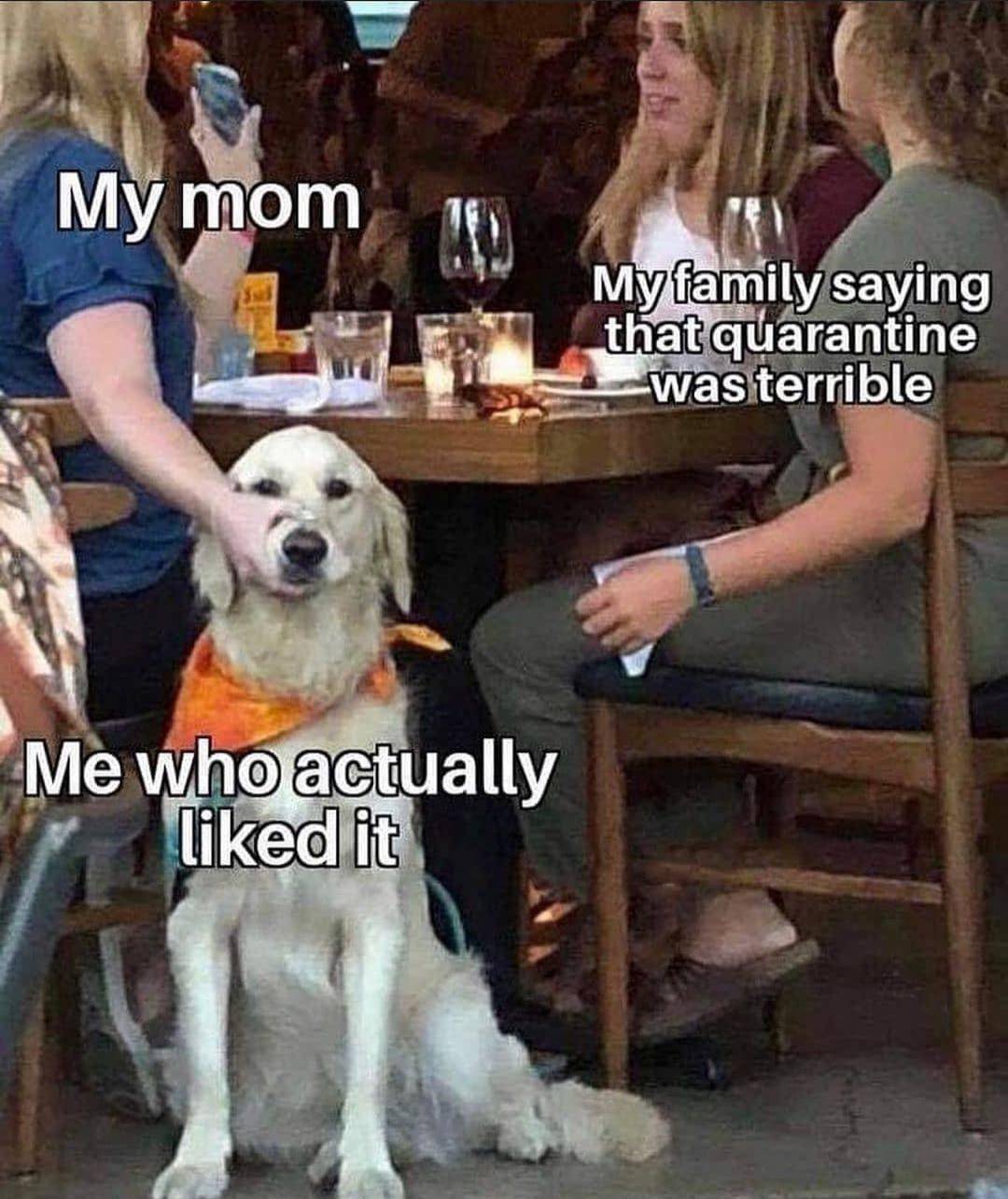 So relatable! | Scrolller