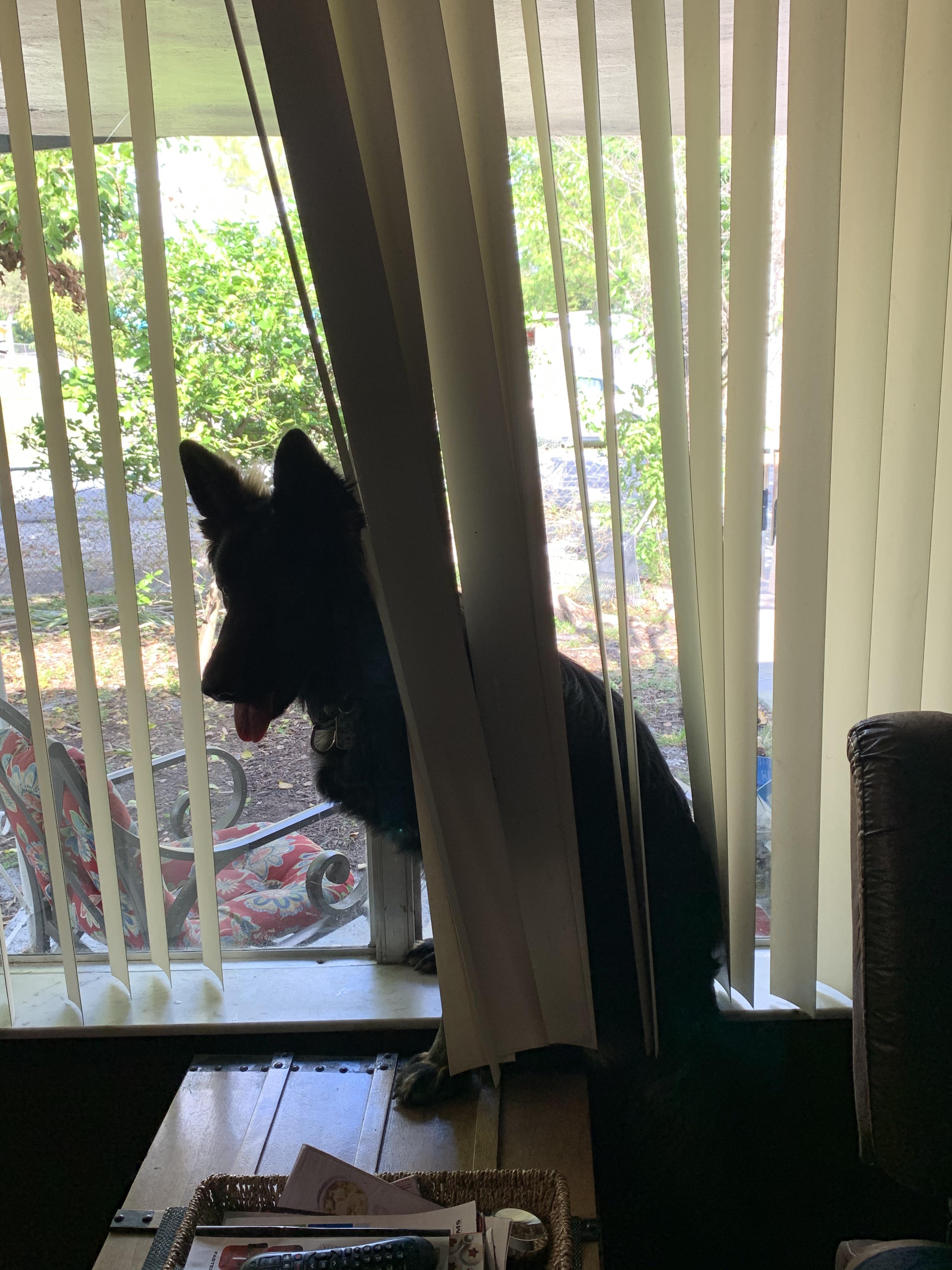 So this is new | Scrolller