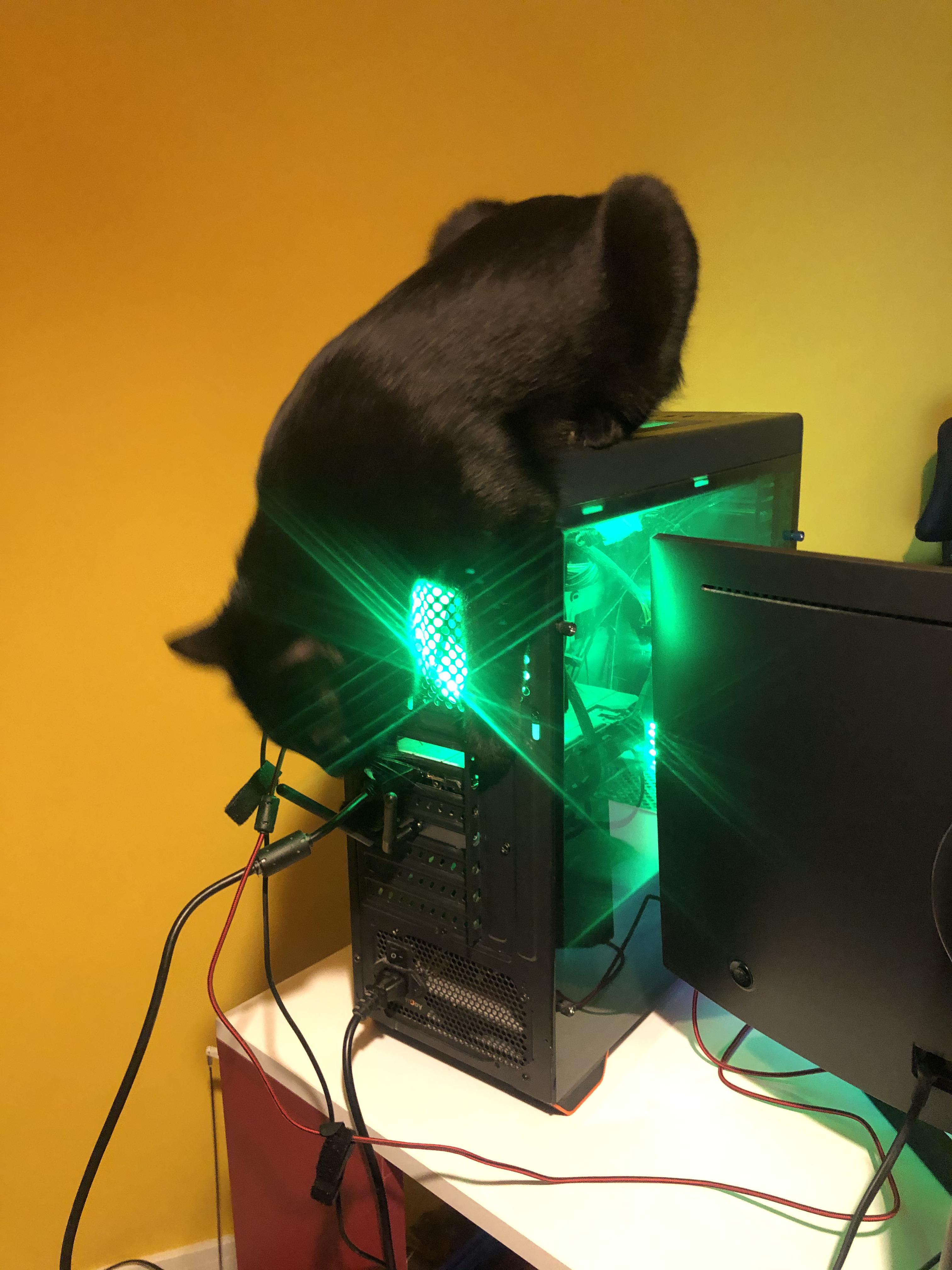 ‘So when do I start streaming?!’ | Scrolller