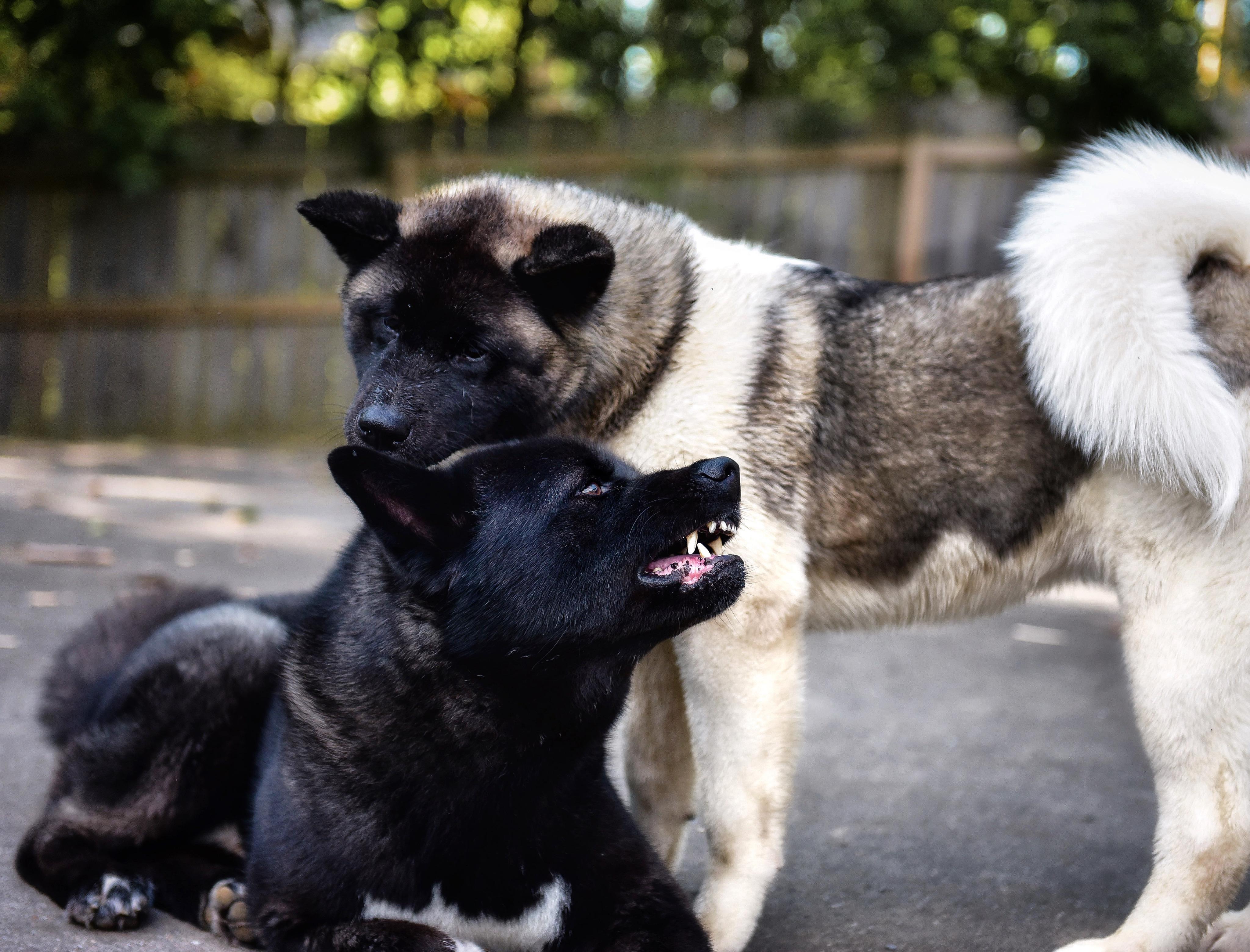 social cues. | Scrolller