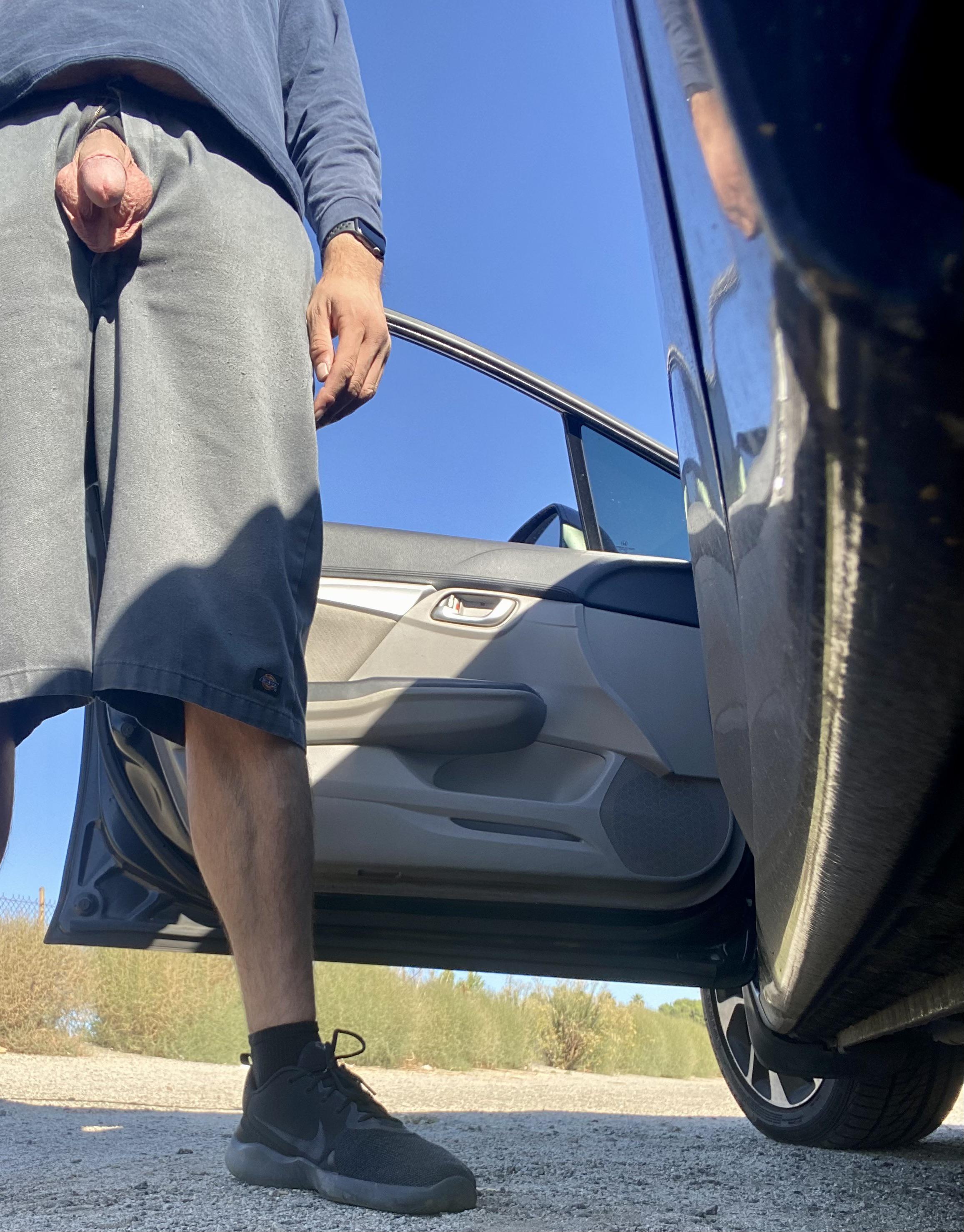 Softie sunbathing | Scrolller