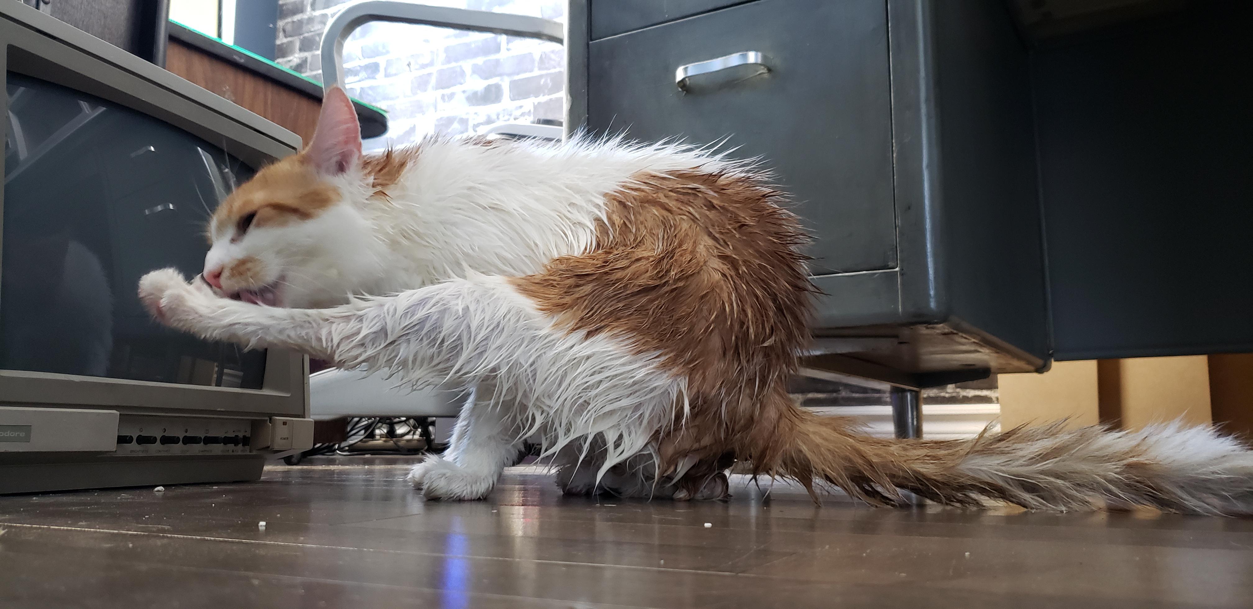 Some content | Scrolller