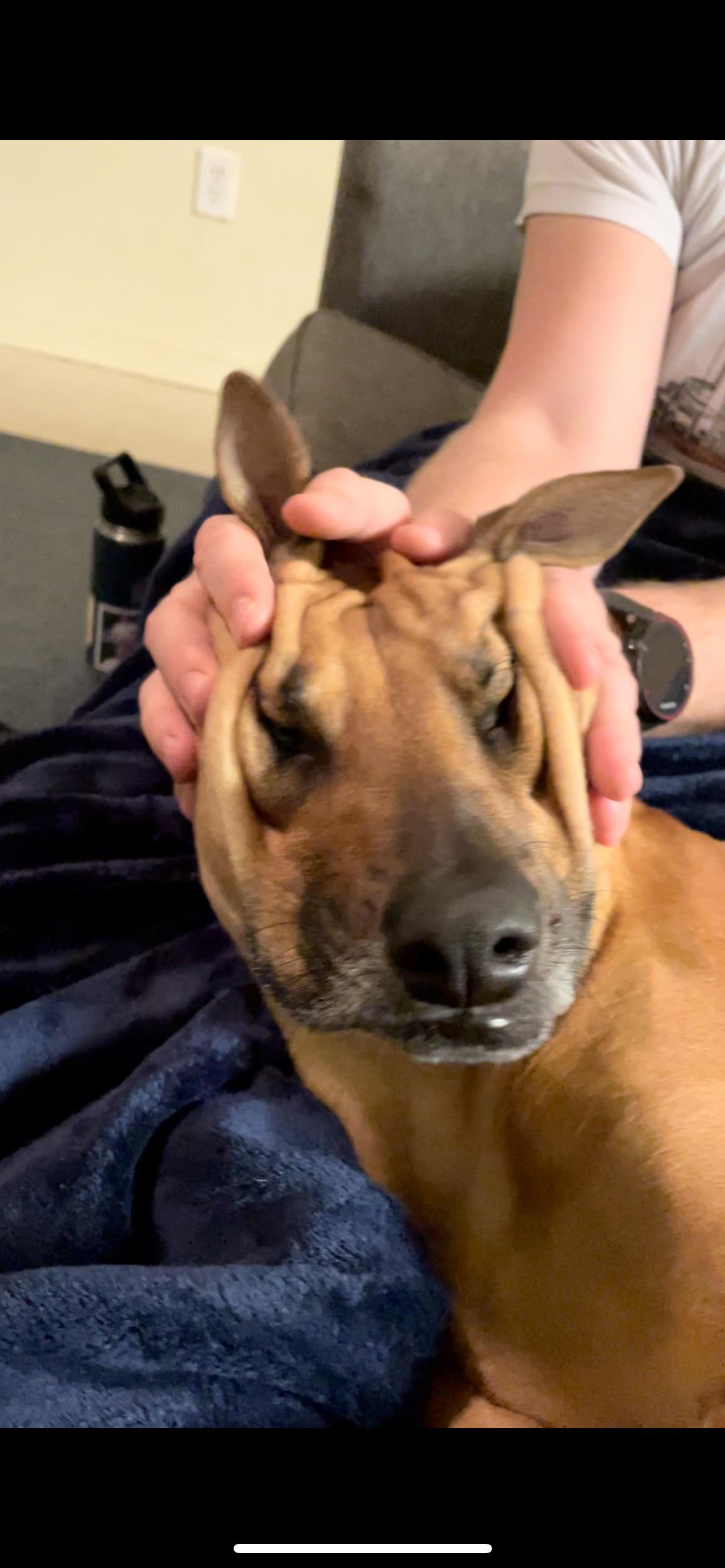 Some more squishy Fred | Scrolller