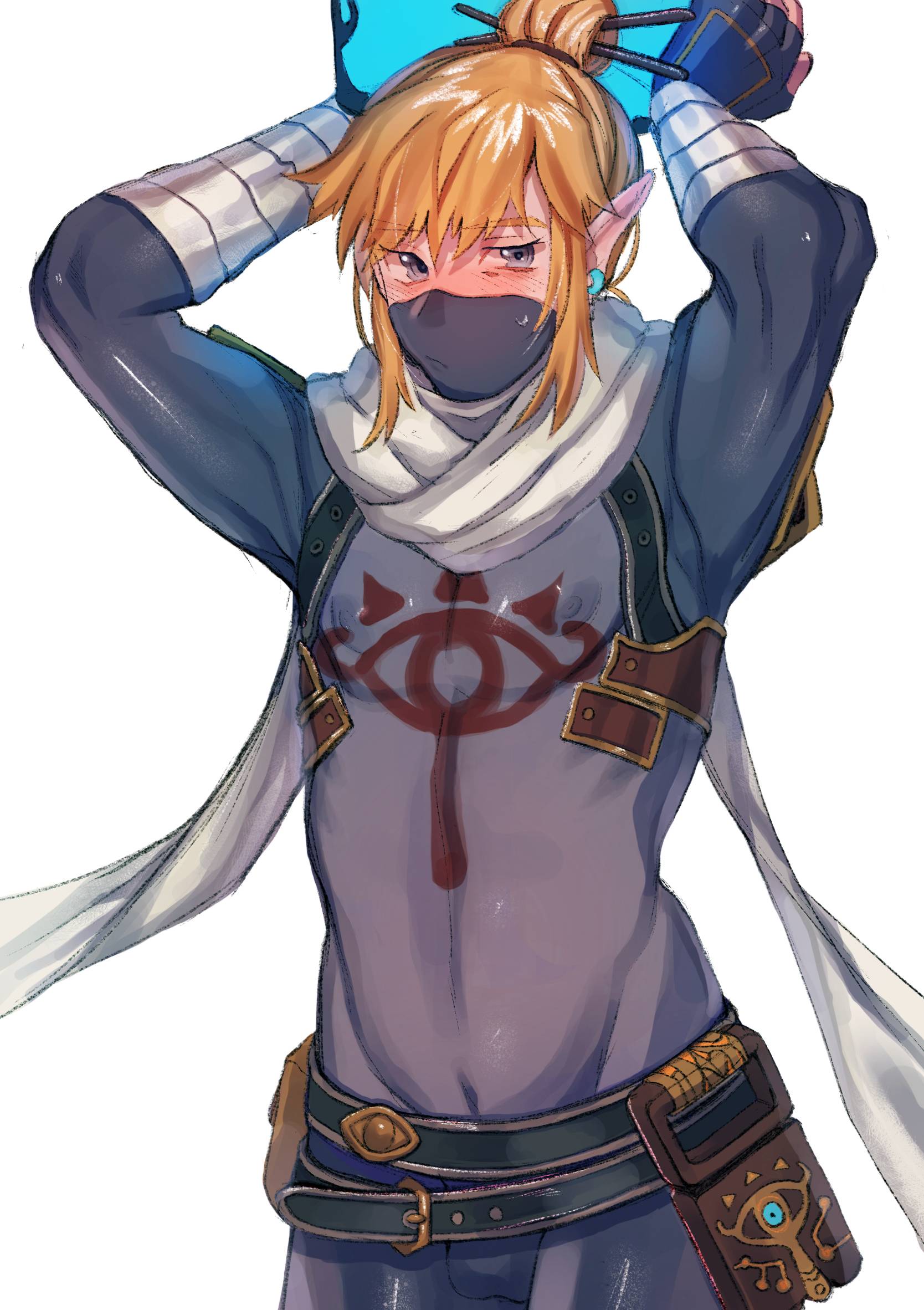 Some spicy sheikah link | Scrolller