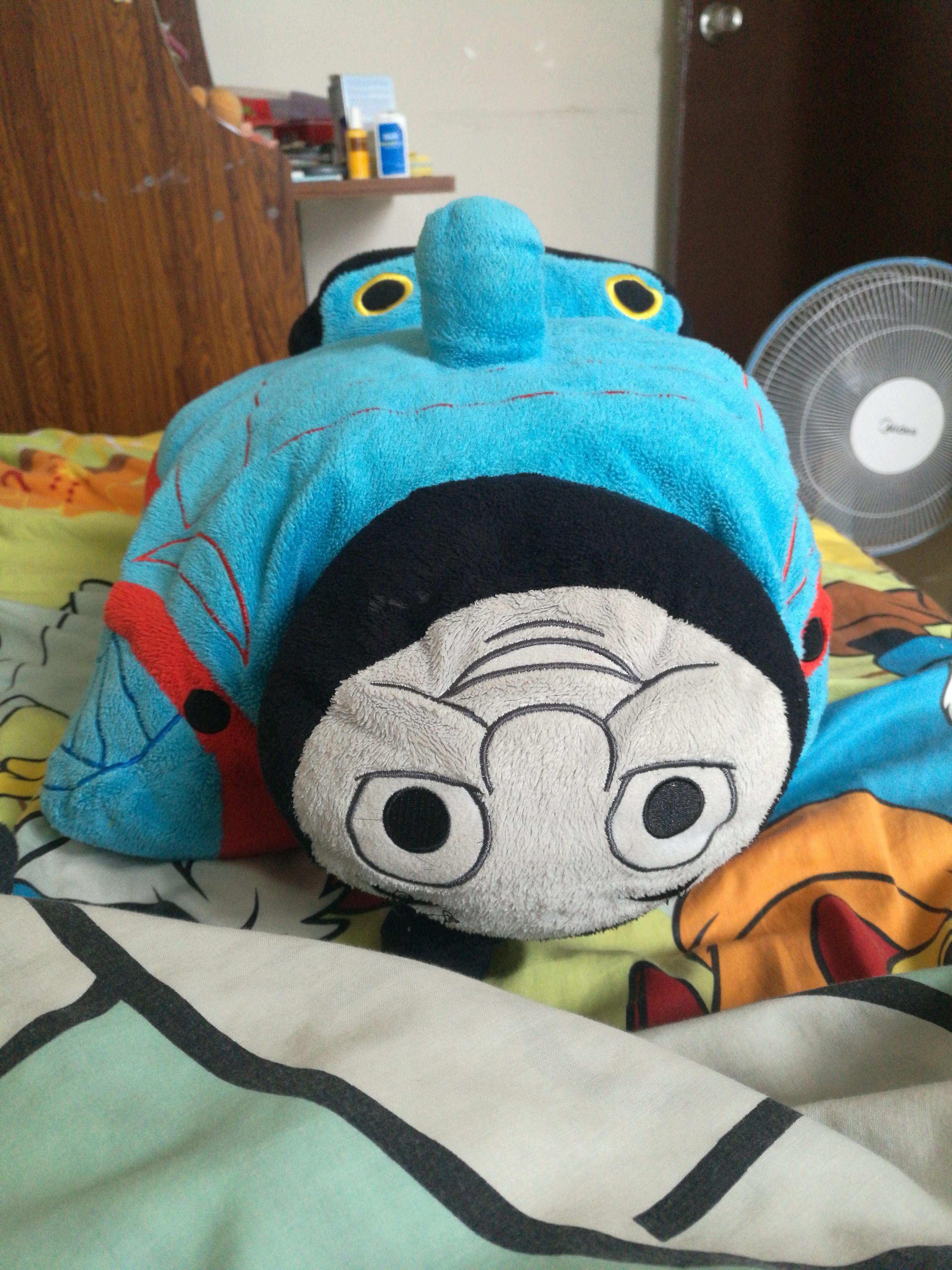 Some Thomas the tank engine stuff toy I bought 6-7 years ago | Scrolller