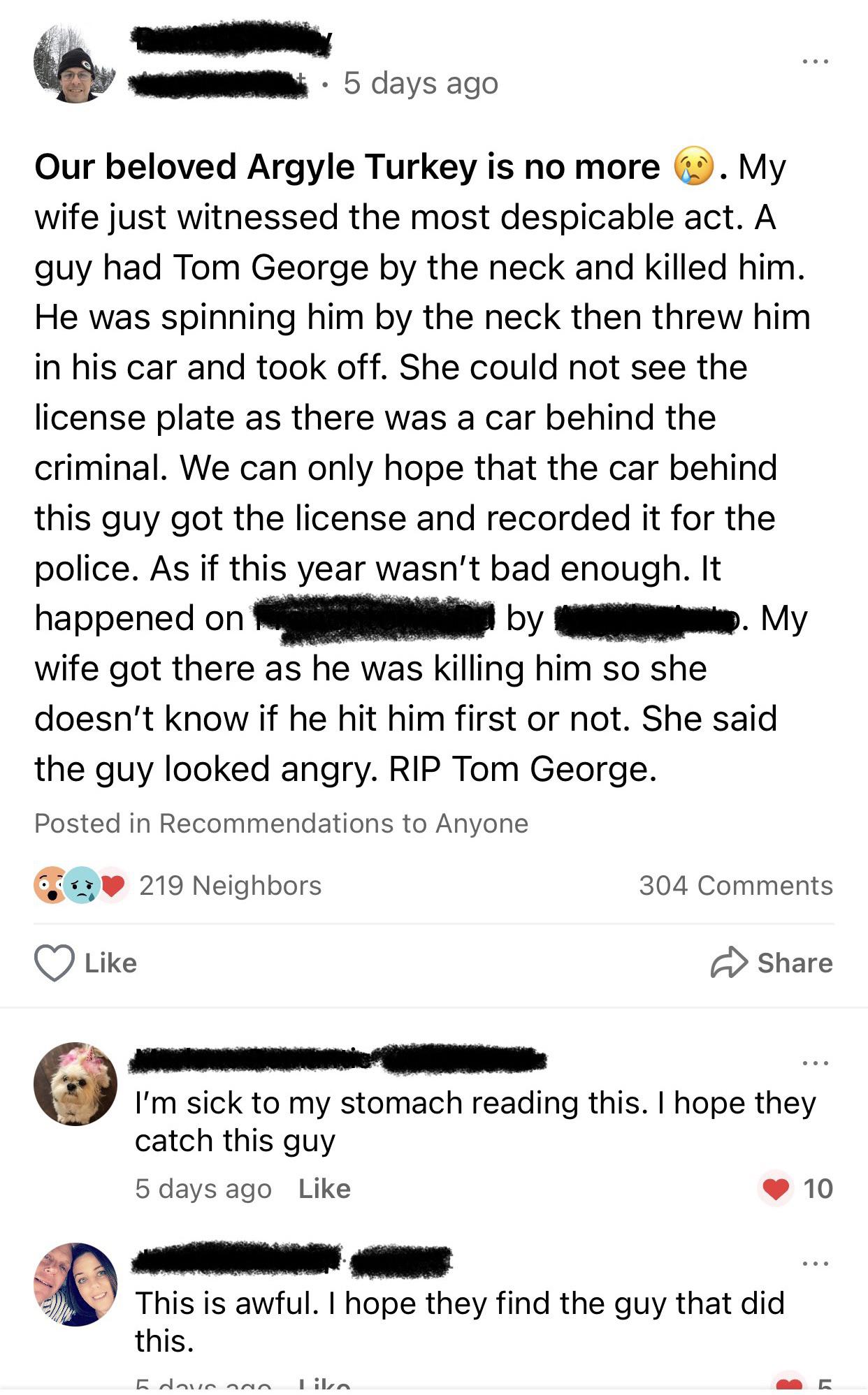 Someone ruthlessly killed our beloved town turkey | Scrolller