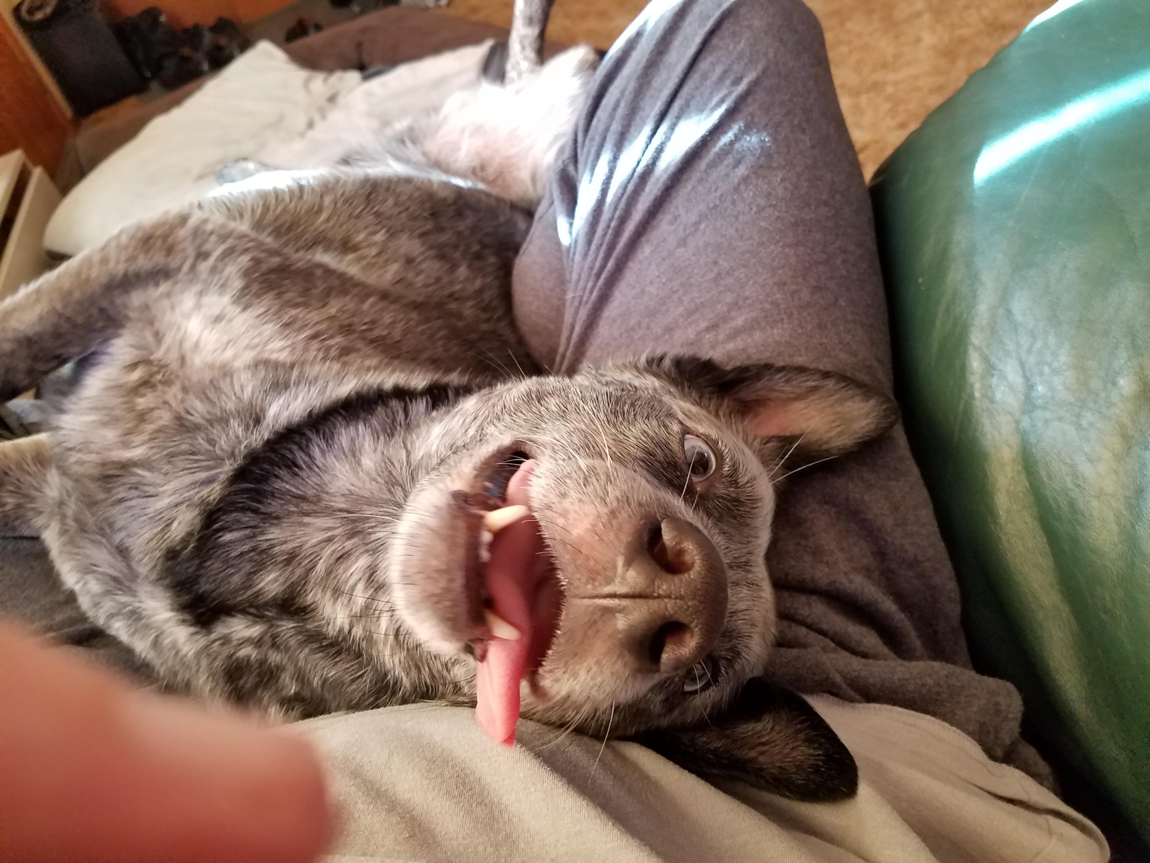 Someone's being derpy | Scrolller