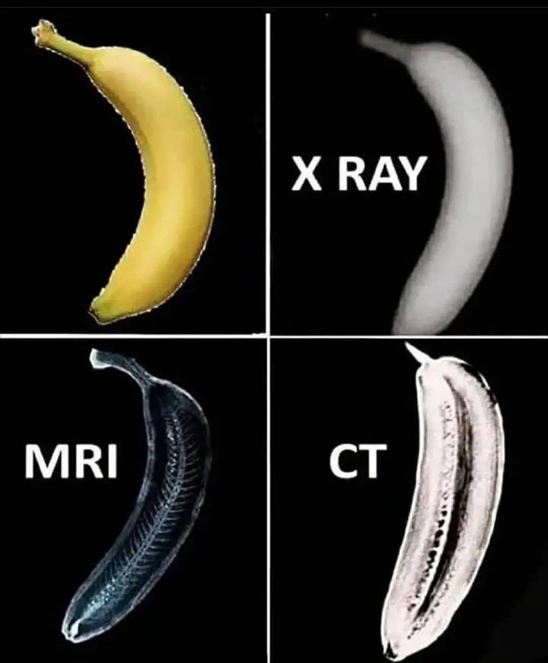 Something's not right here | Scrolller