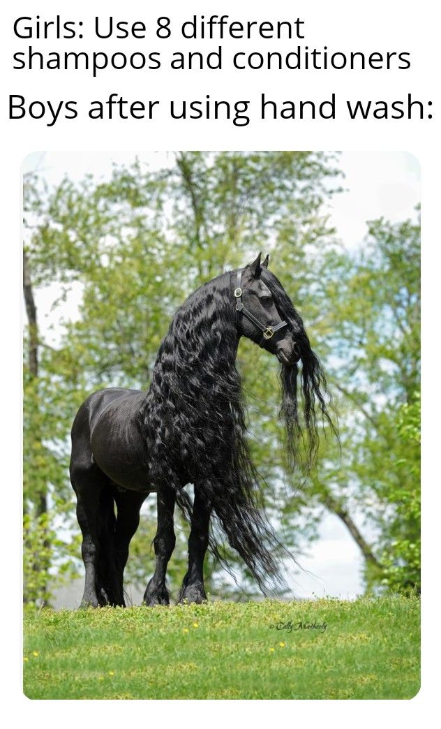 Sometimes less is more, my dudes | Scrolller